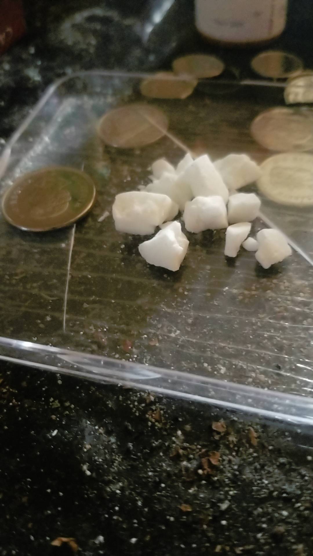 still chillin | Scrolller