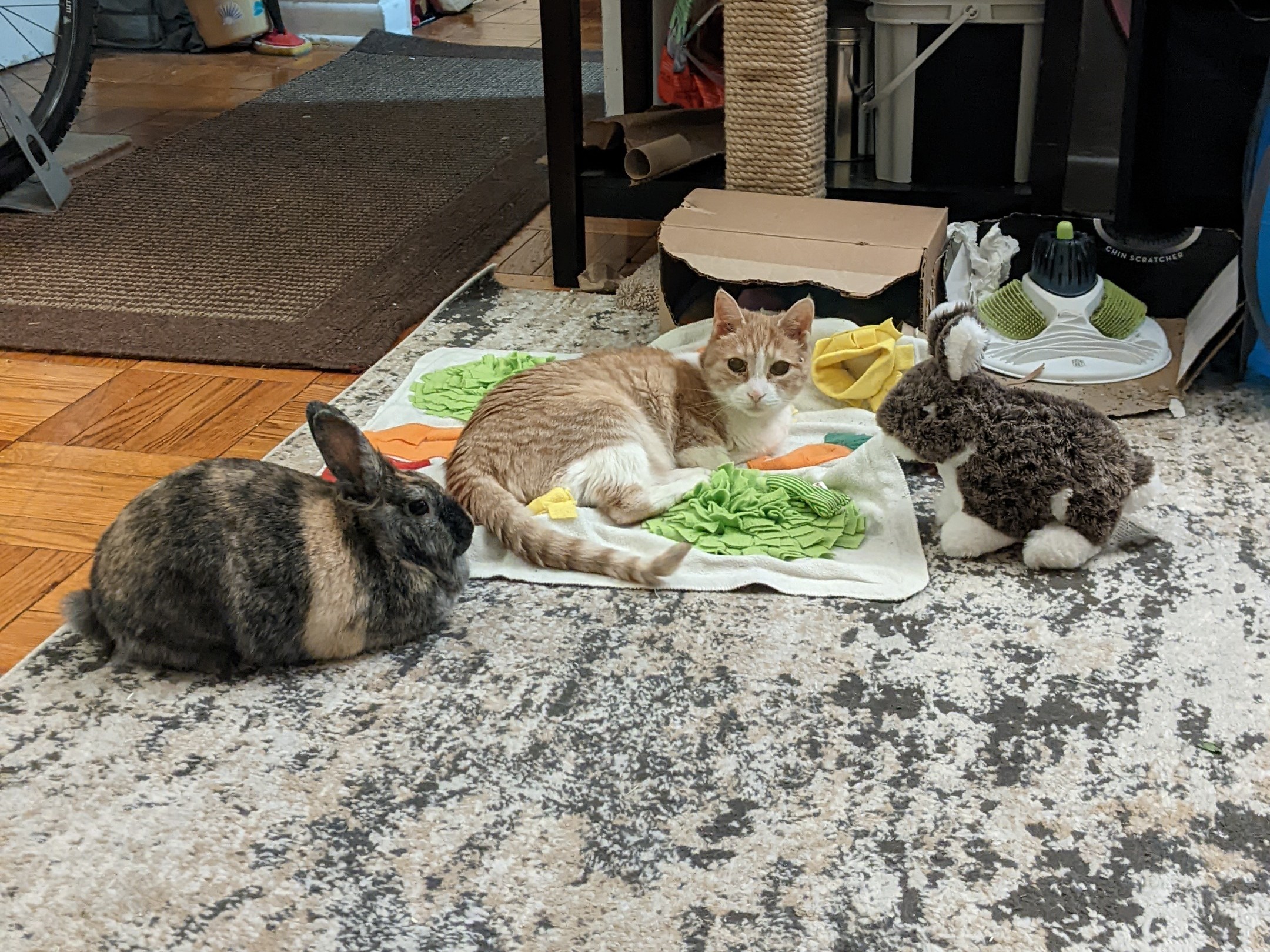 Stuck in the middle... | Scrolller