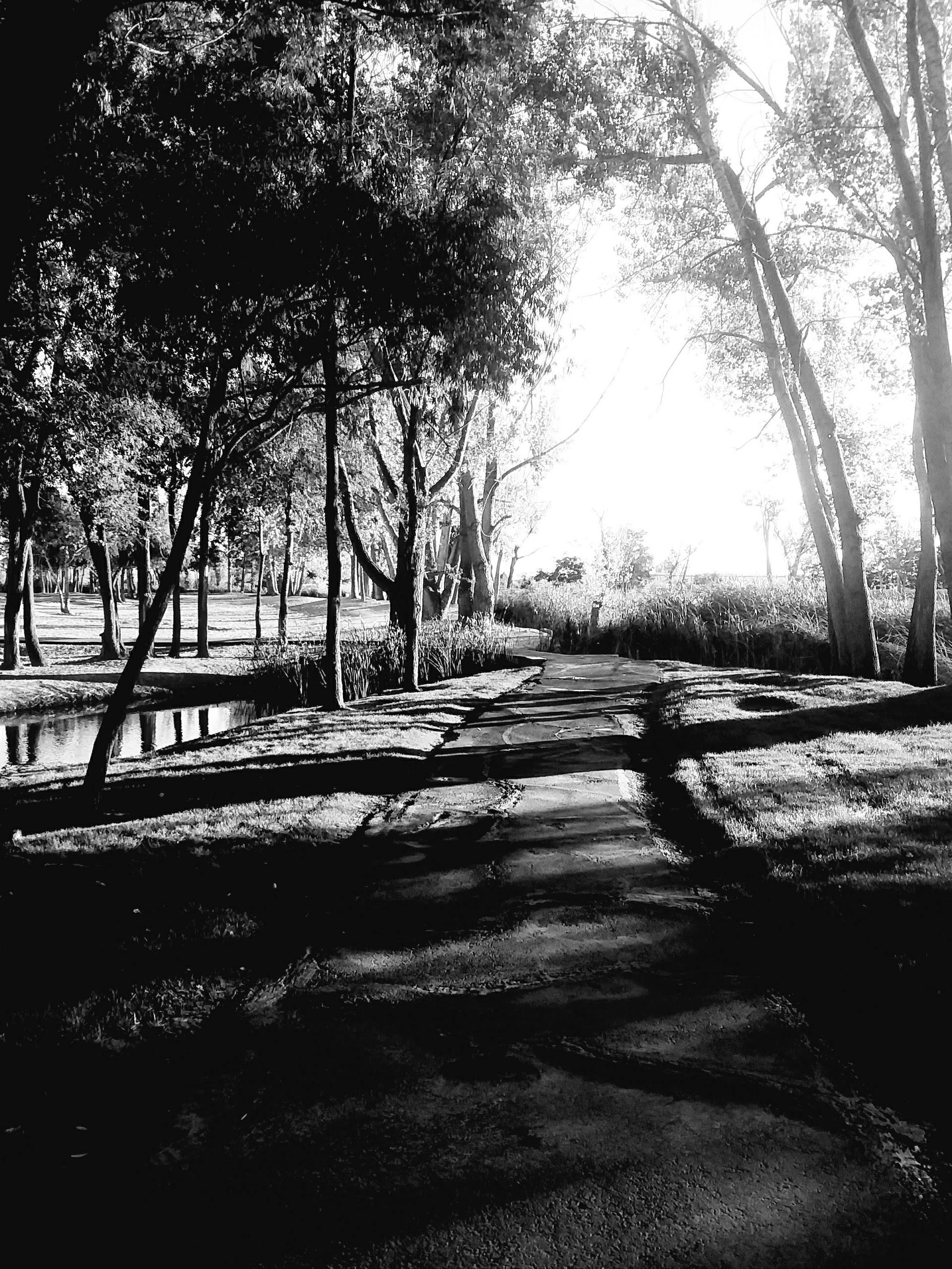 Sugar beet lake pathway | Scrolller