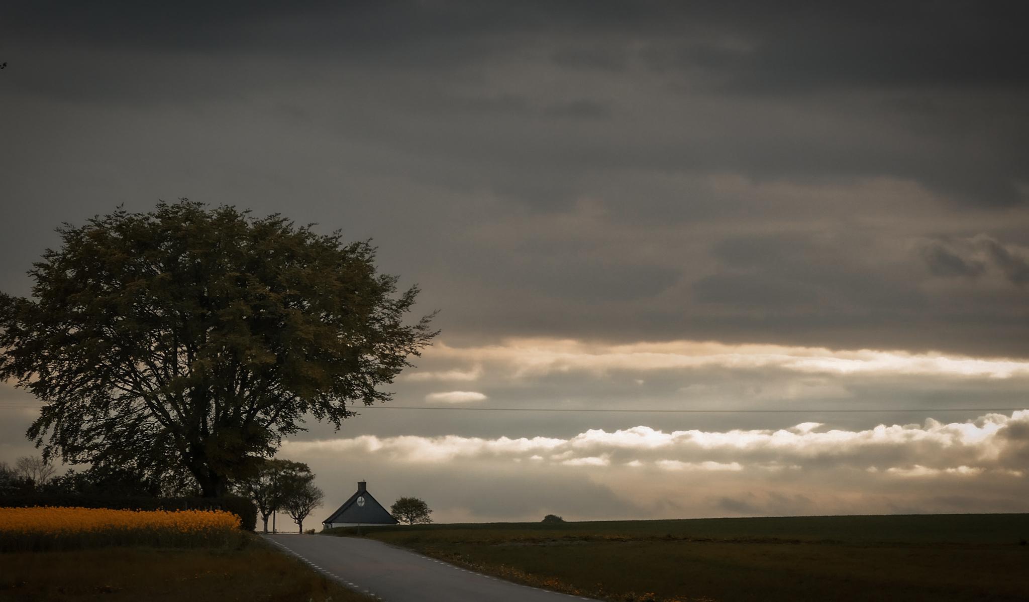 summer evening | Scrolller