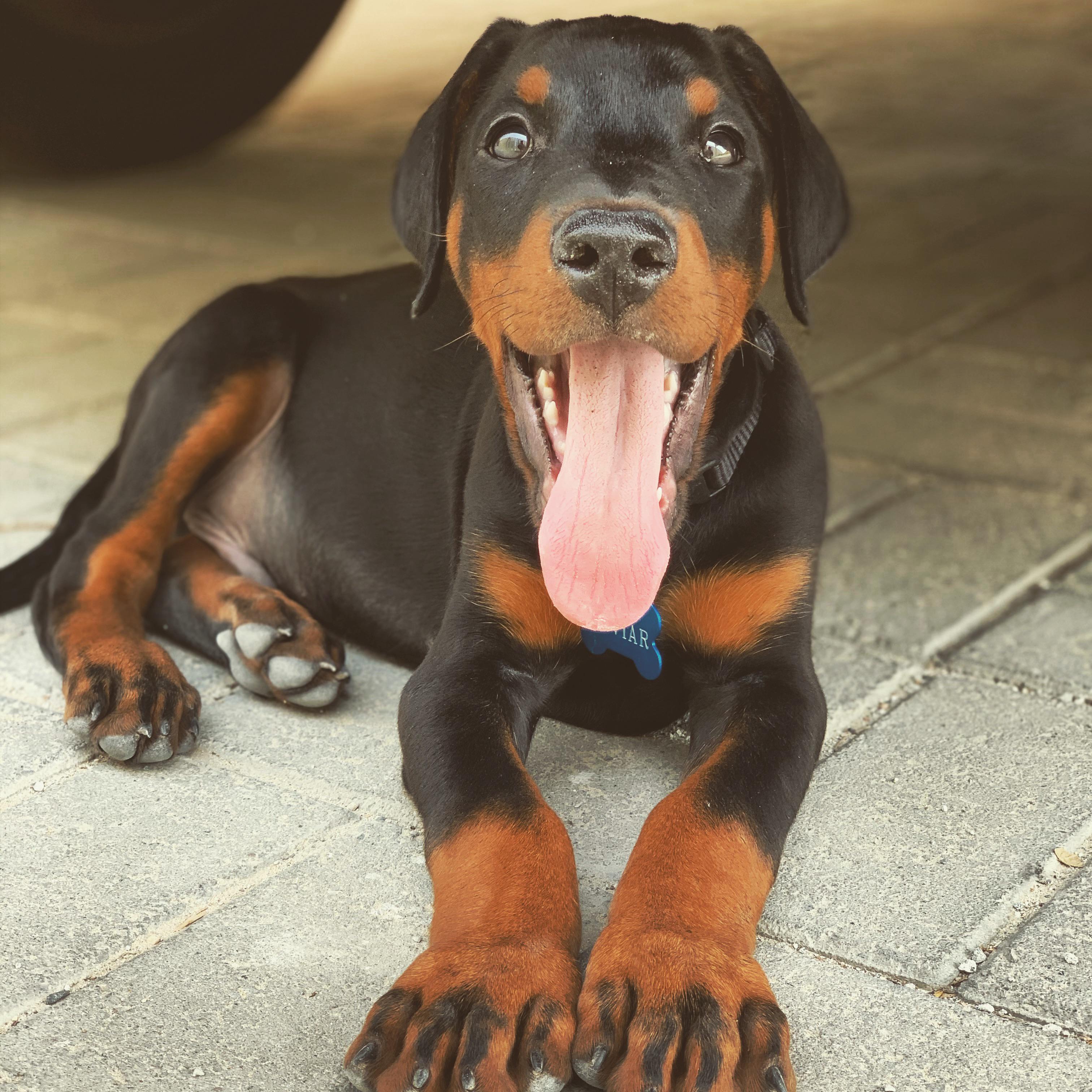 Summer heat 🔥 | Scrolller