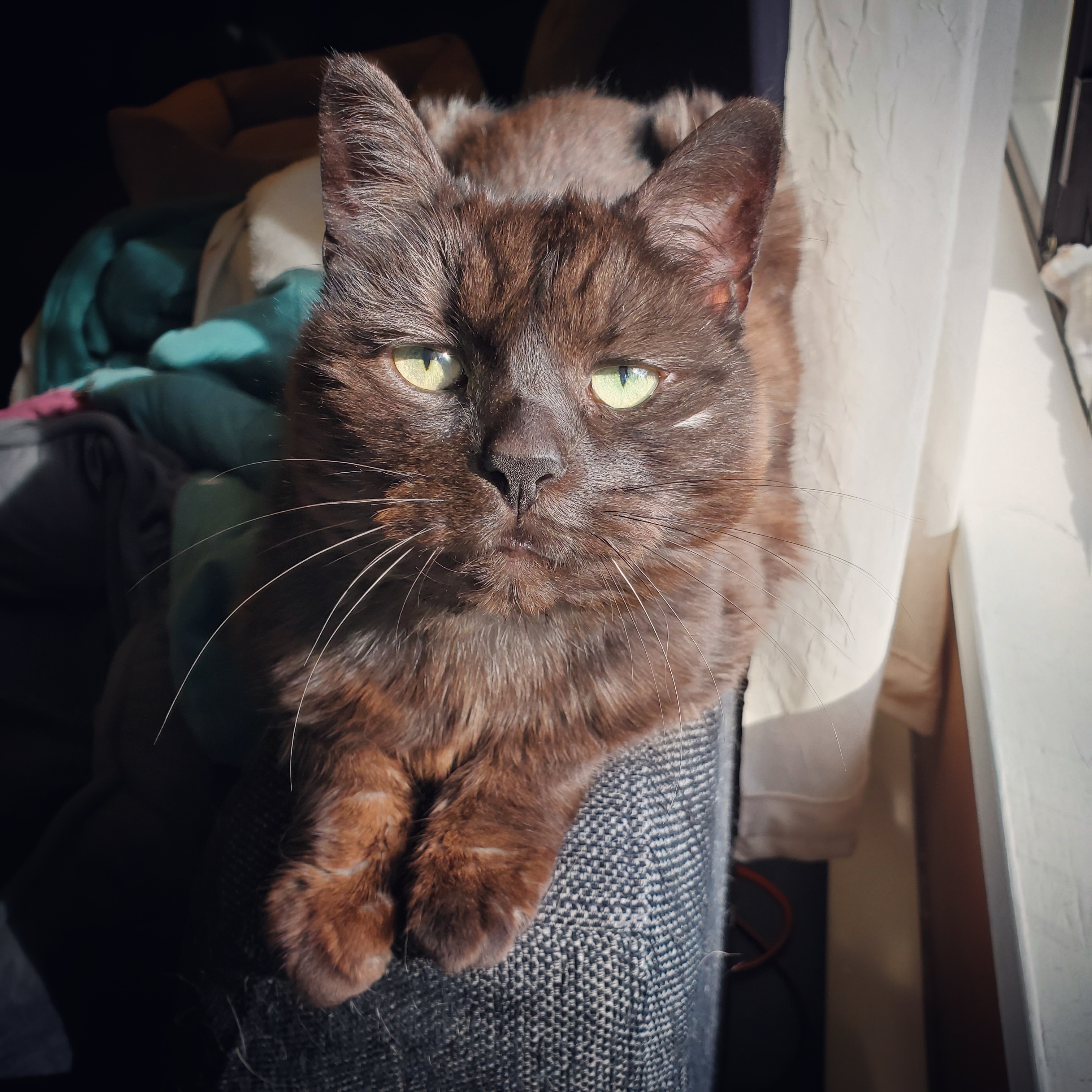 Sunbathing Peanuts | Scrolller