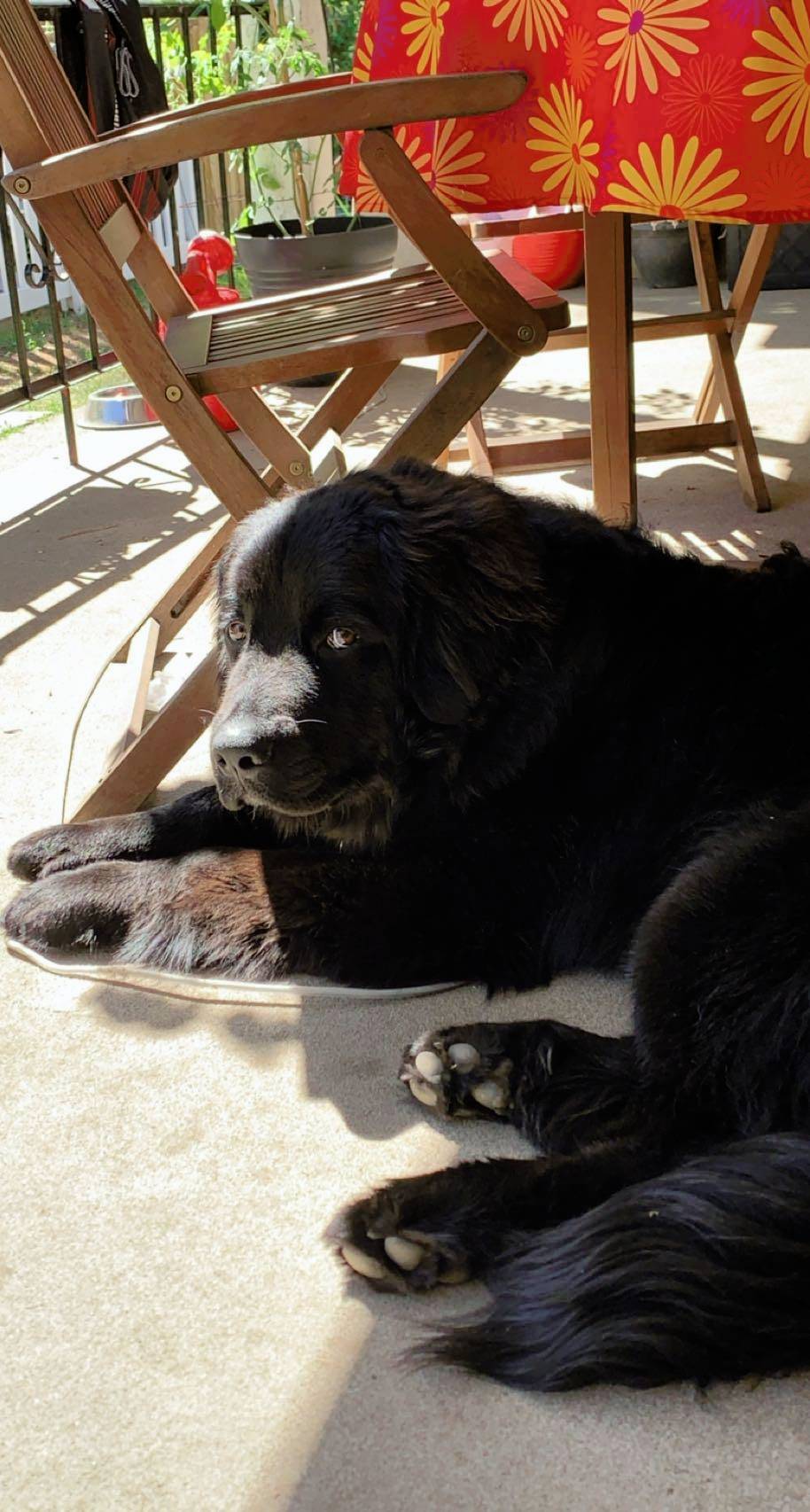 Sunny day | Scrolller