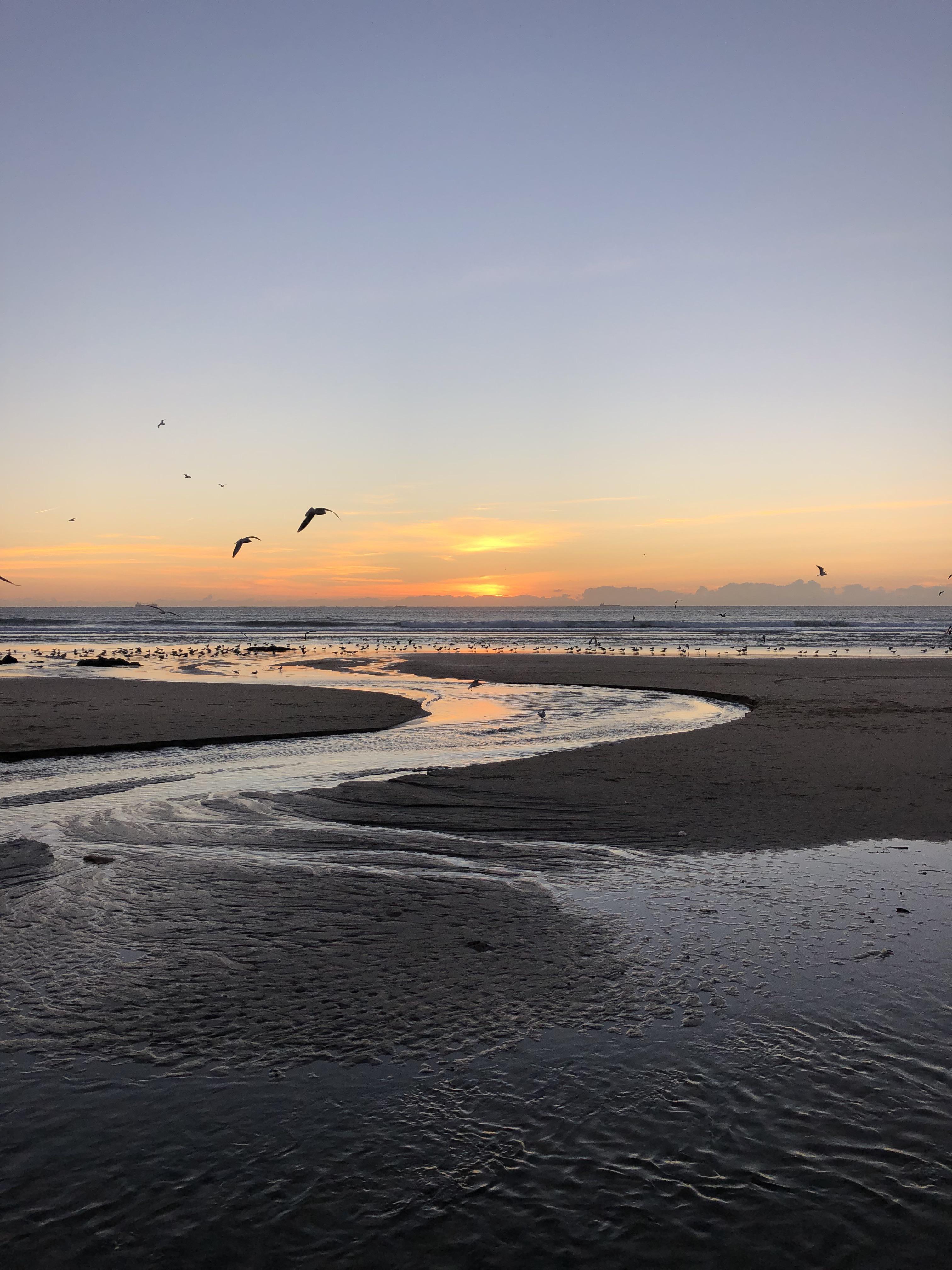 Sunset beach | Scrolller