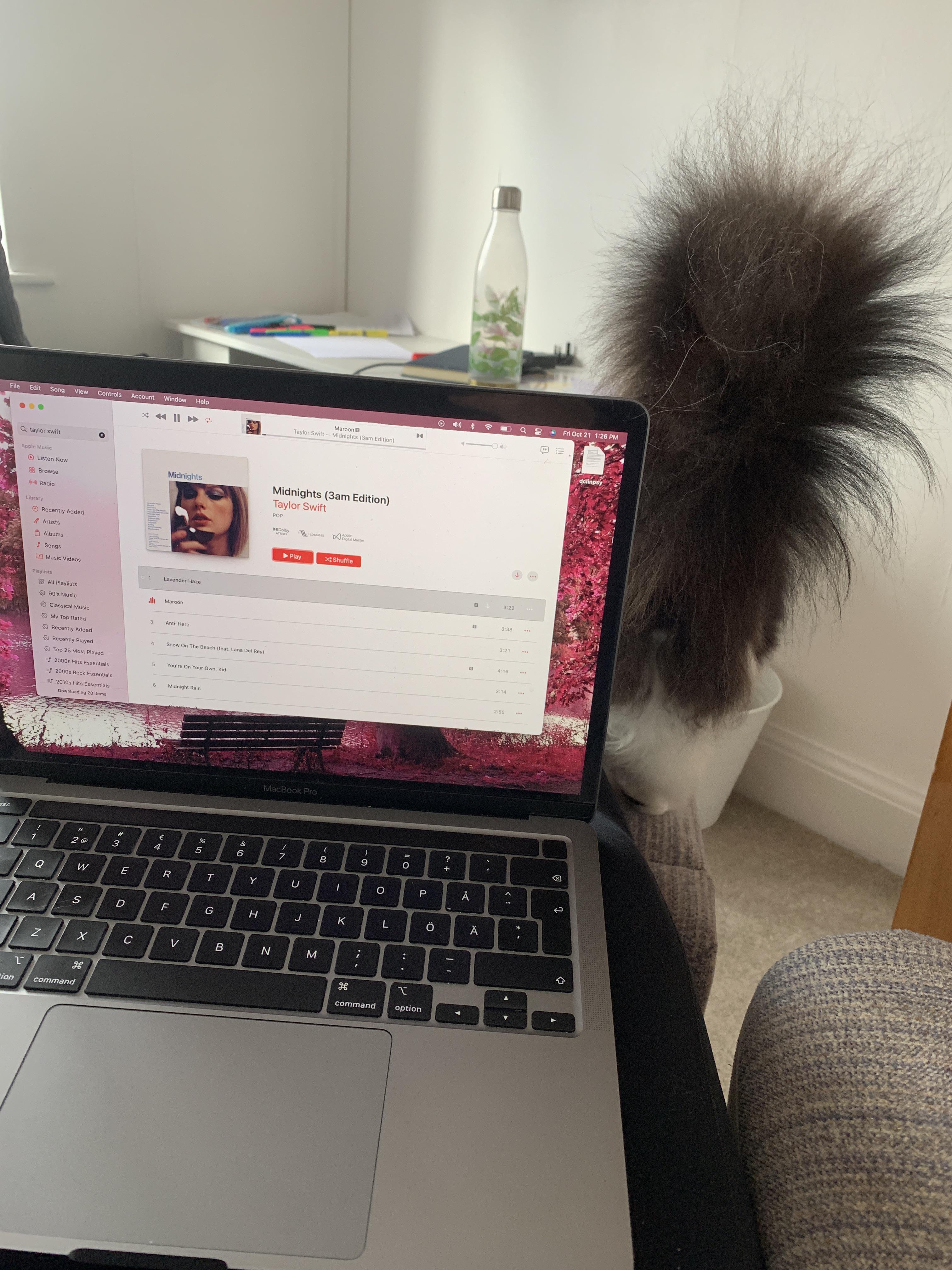 tail out of this world | Scrolller