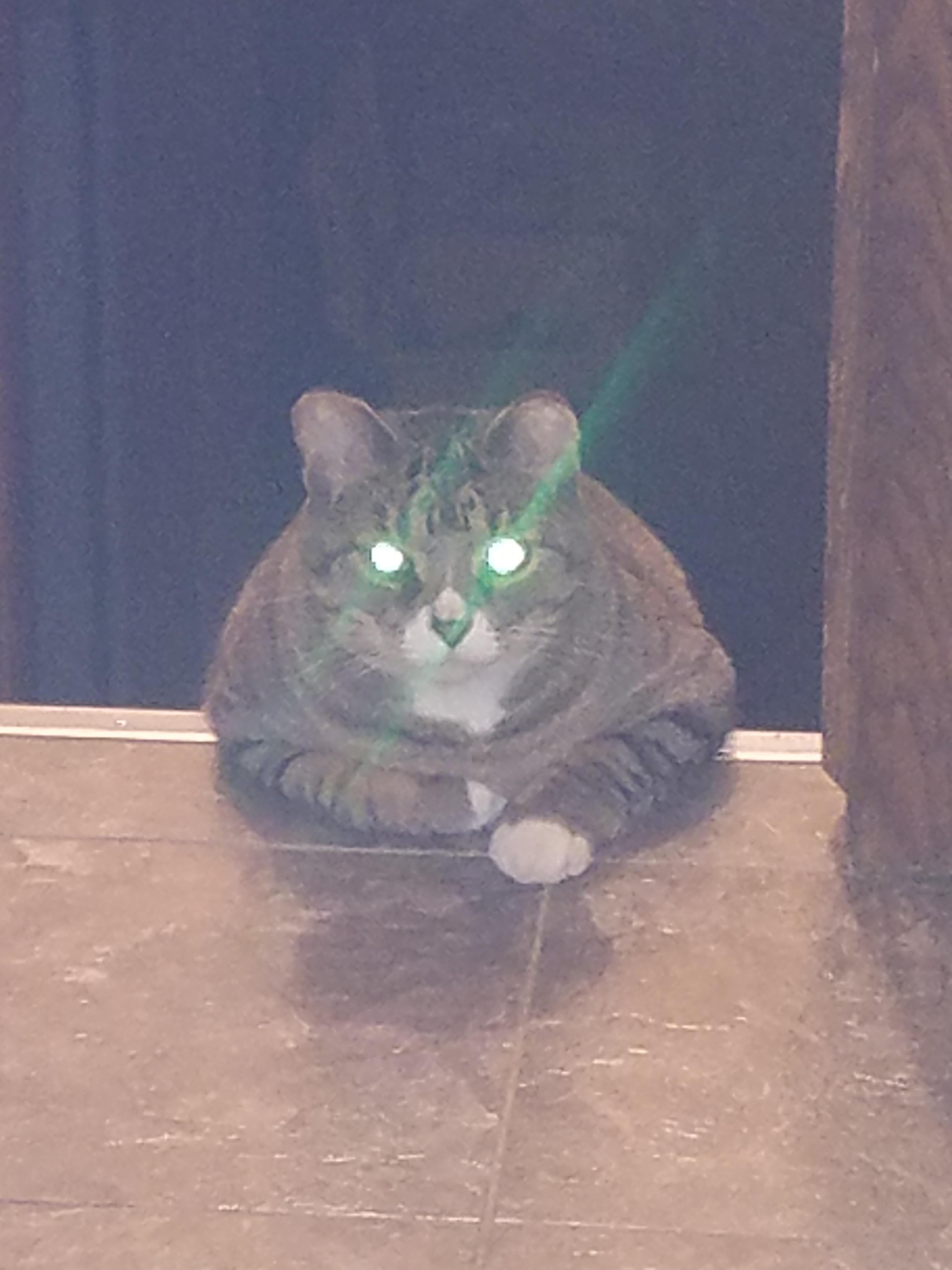 Target Acquired Scrolller