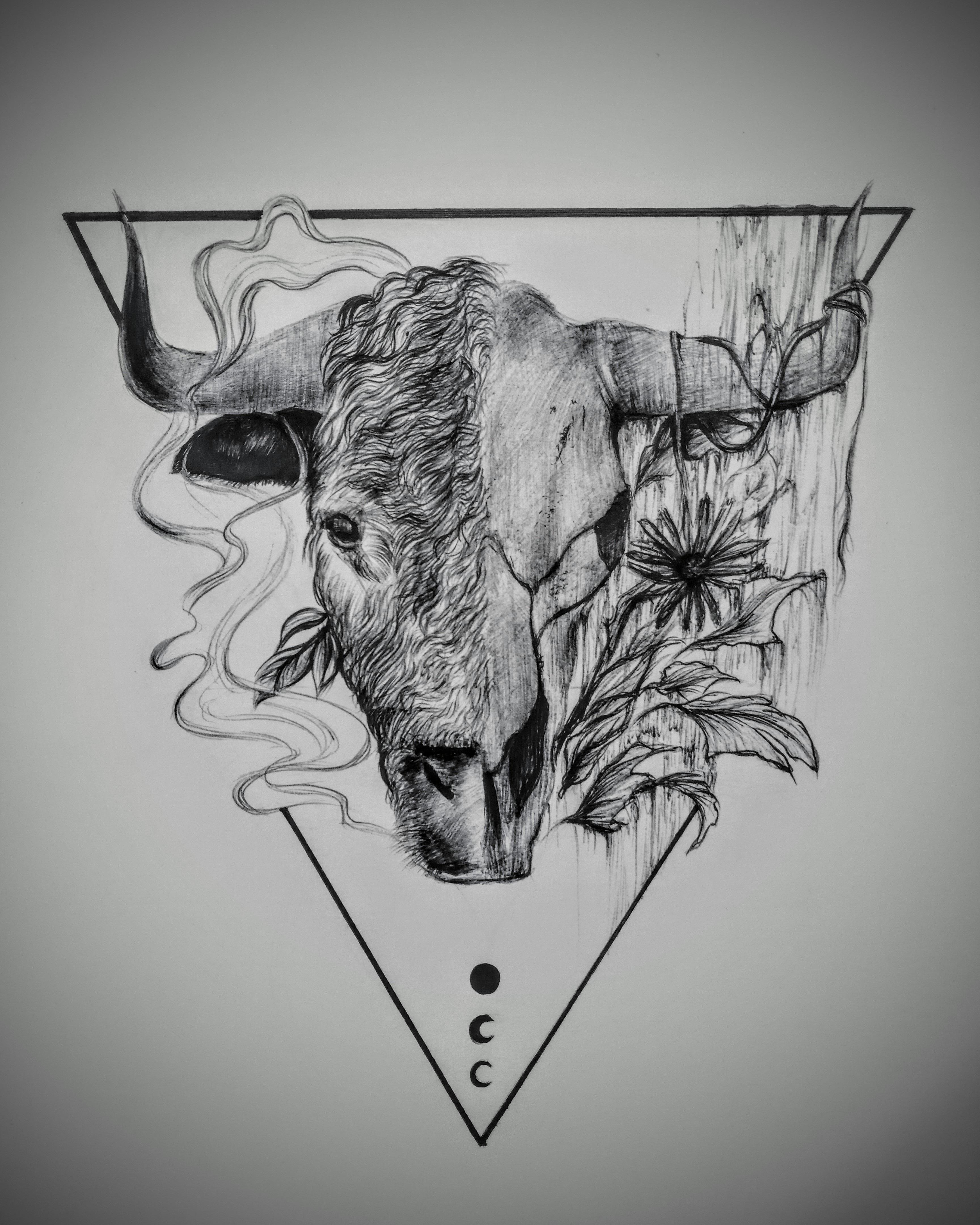 Taurus | Scrolller