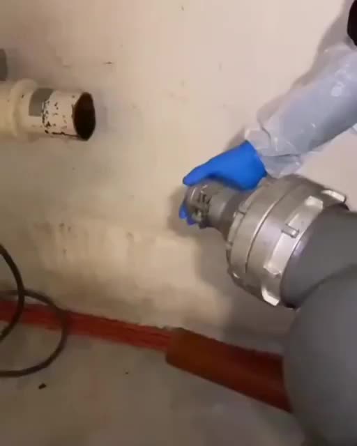 Mmmm Prolapse | Scrolller