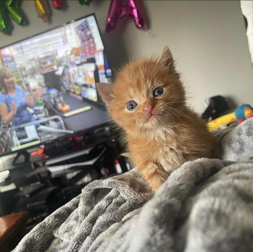 That blank stare | Scrolller