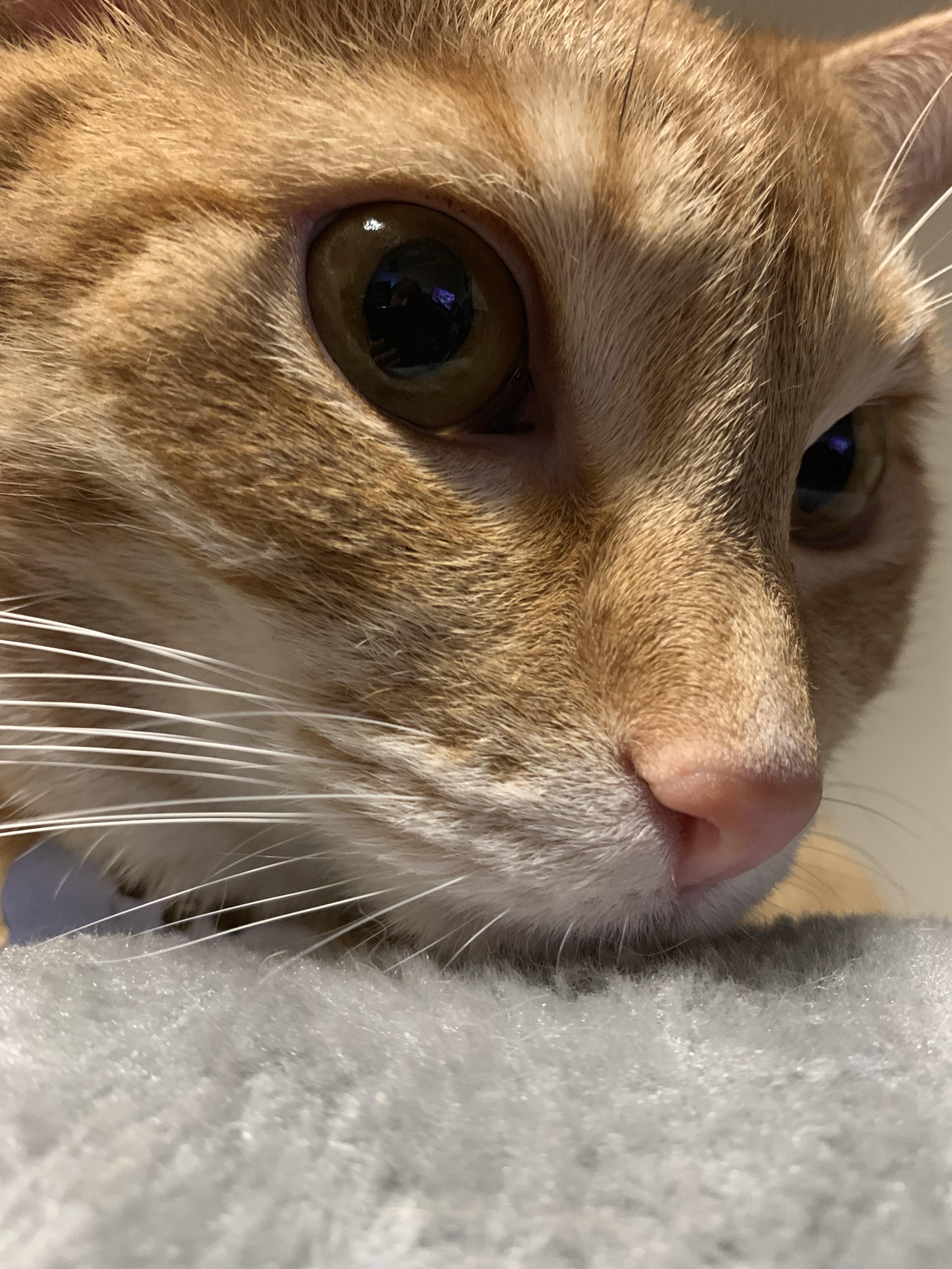 That face | Scrolller