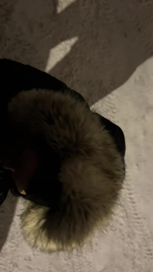 That's how you celebrate first snow | Scrolller