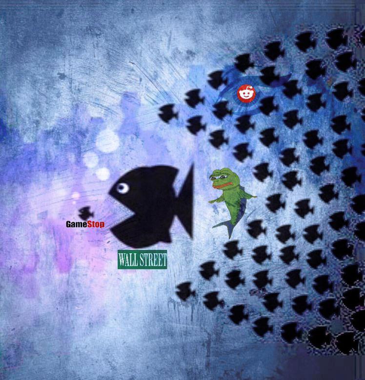 The Bait | Scrolller