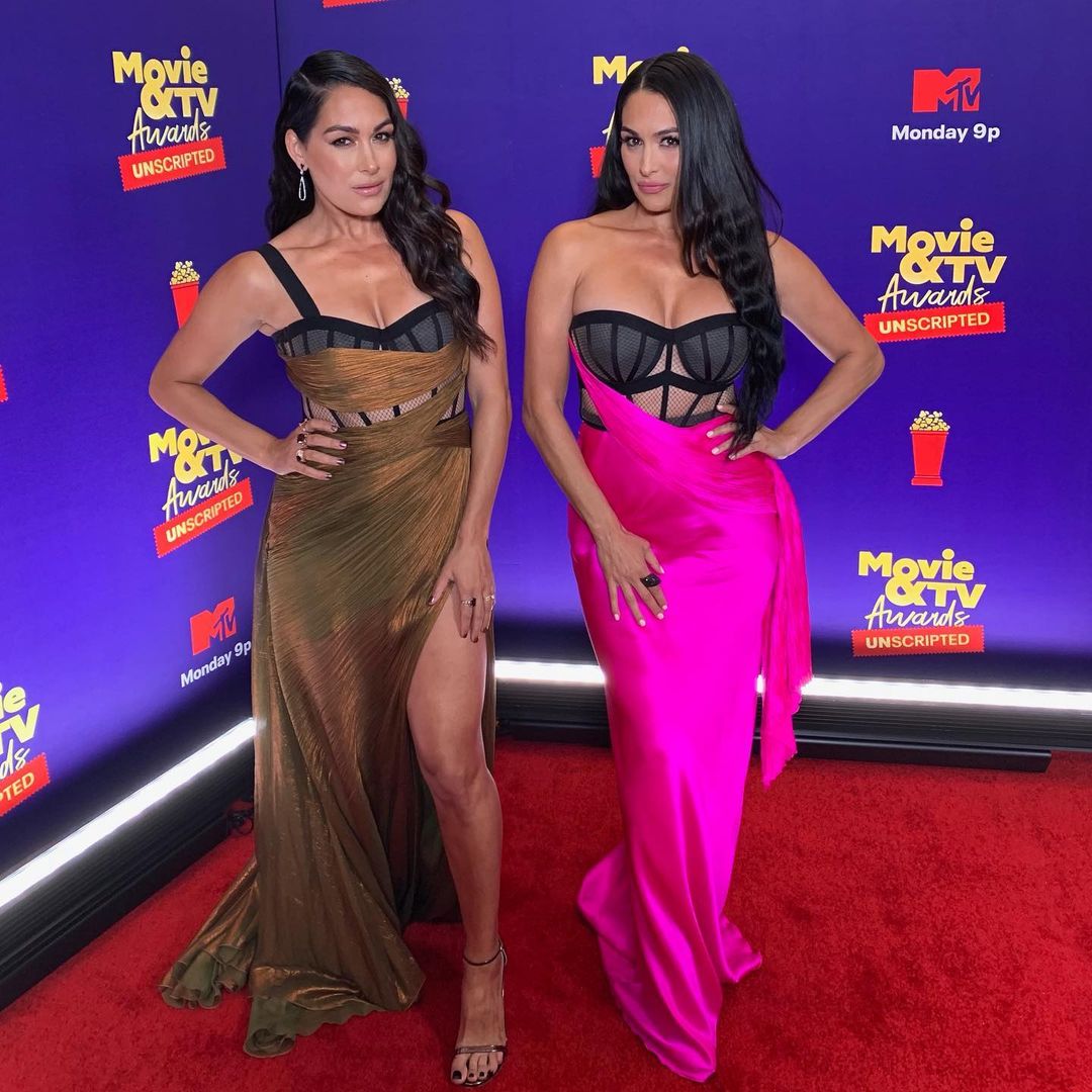 The Bella Twins | Scrolller