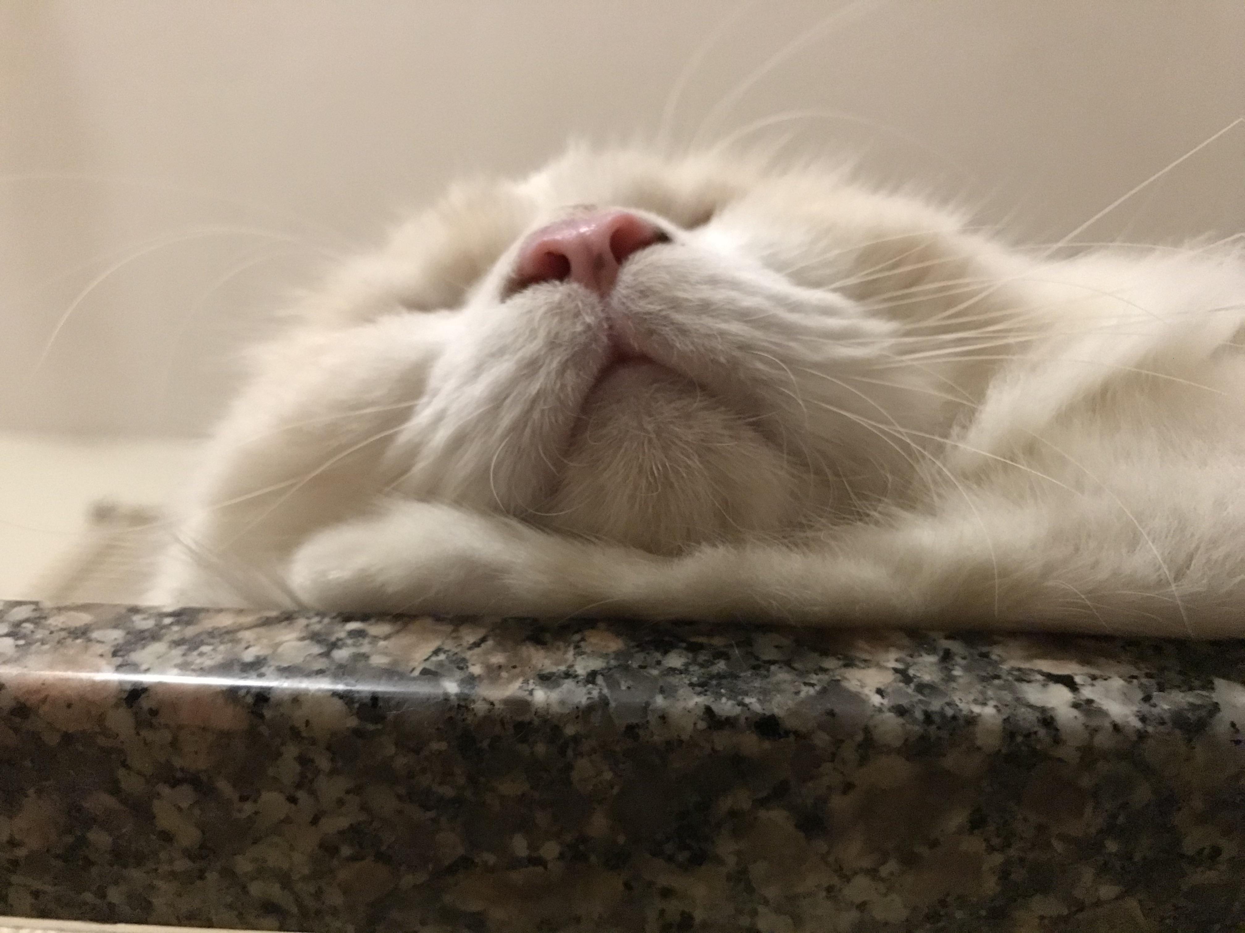 The Best Angle Ever Scrolller