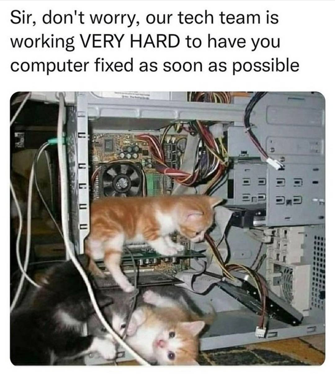 The best tech team in the world | Scrolller