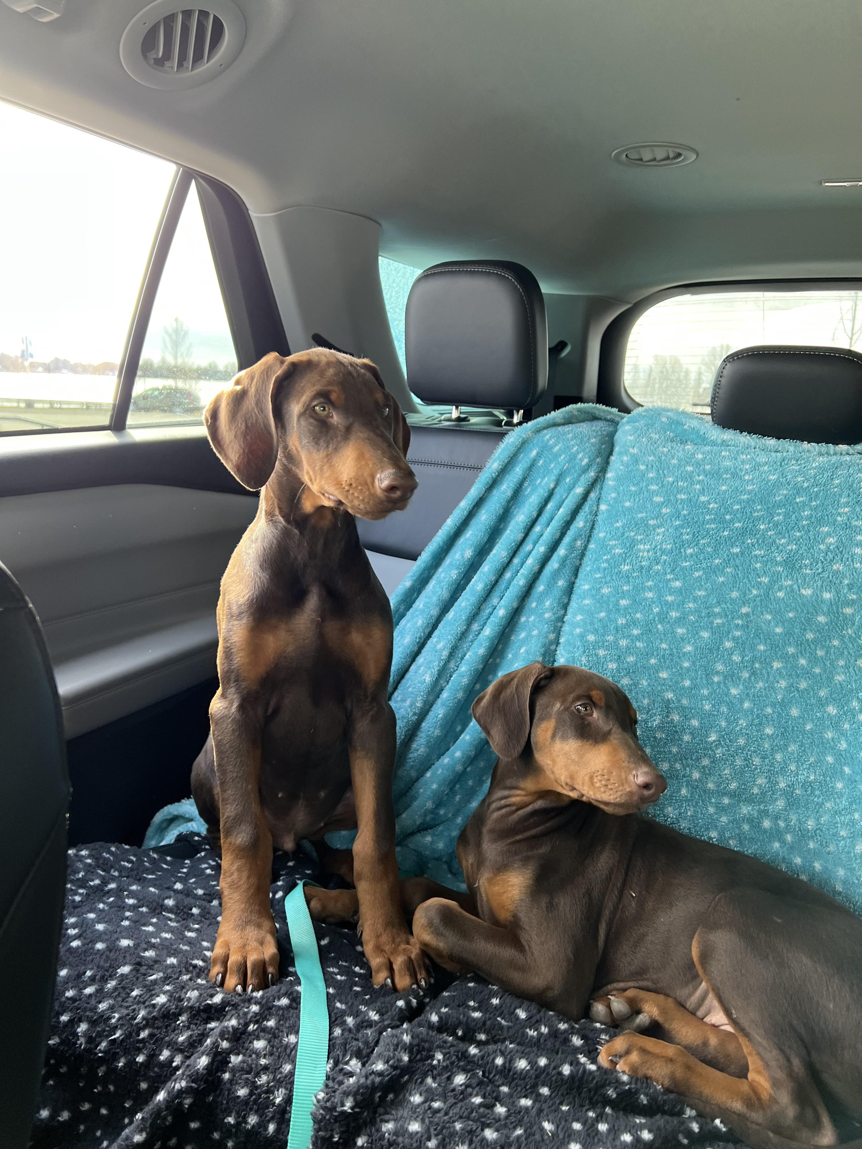 The boys. | Scrolller