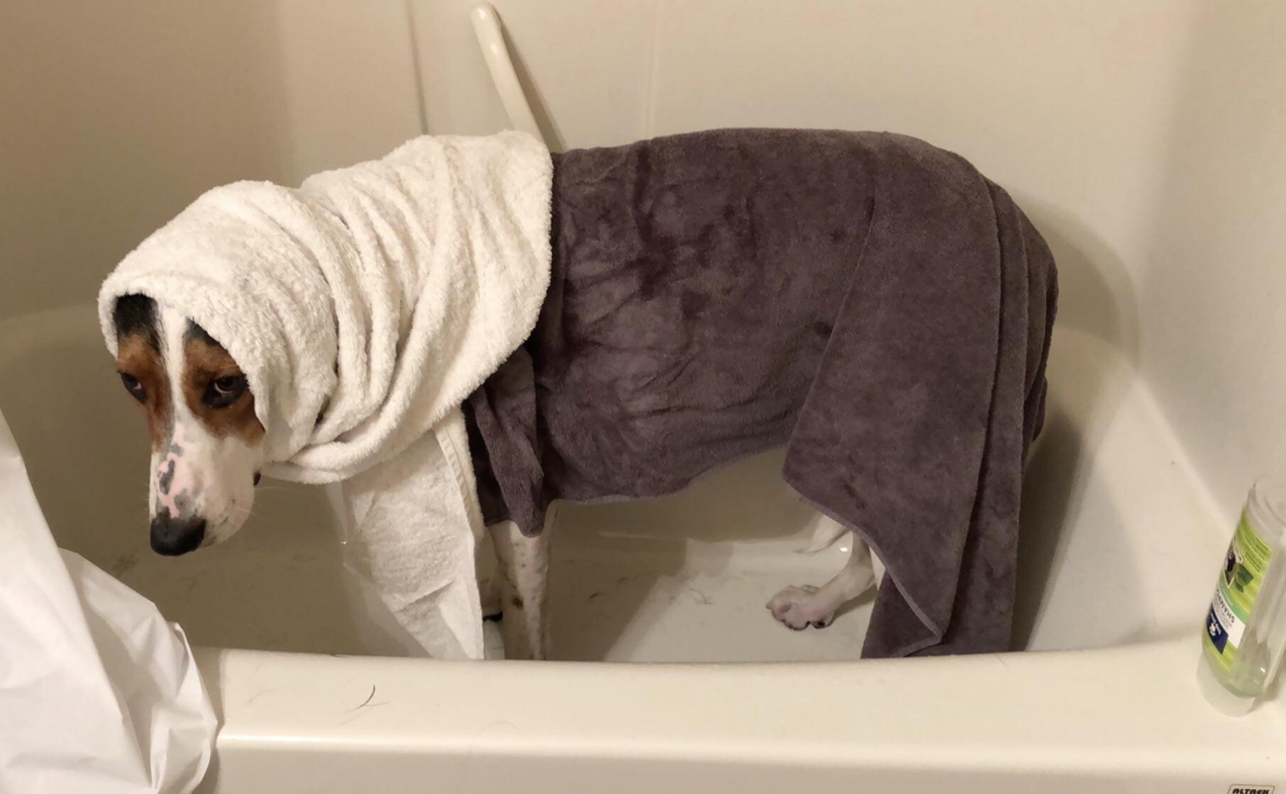 The first bath after a long winter | Scrolller