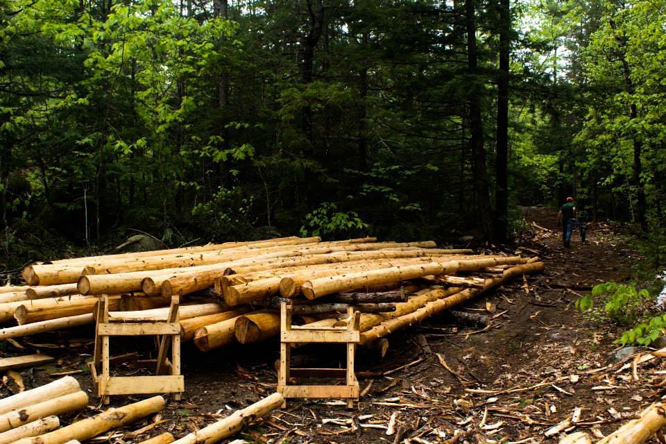 The First Stage | Scrolller