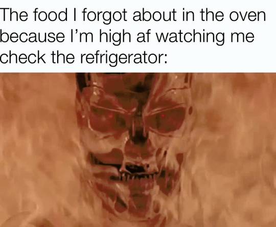 The Forgotten | Scrolller