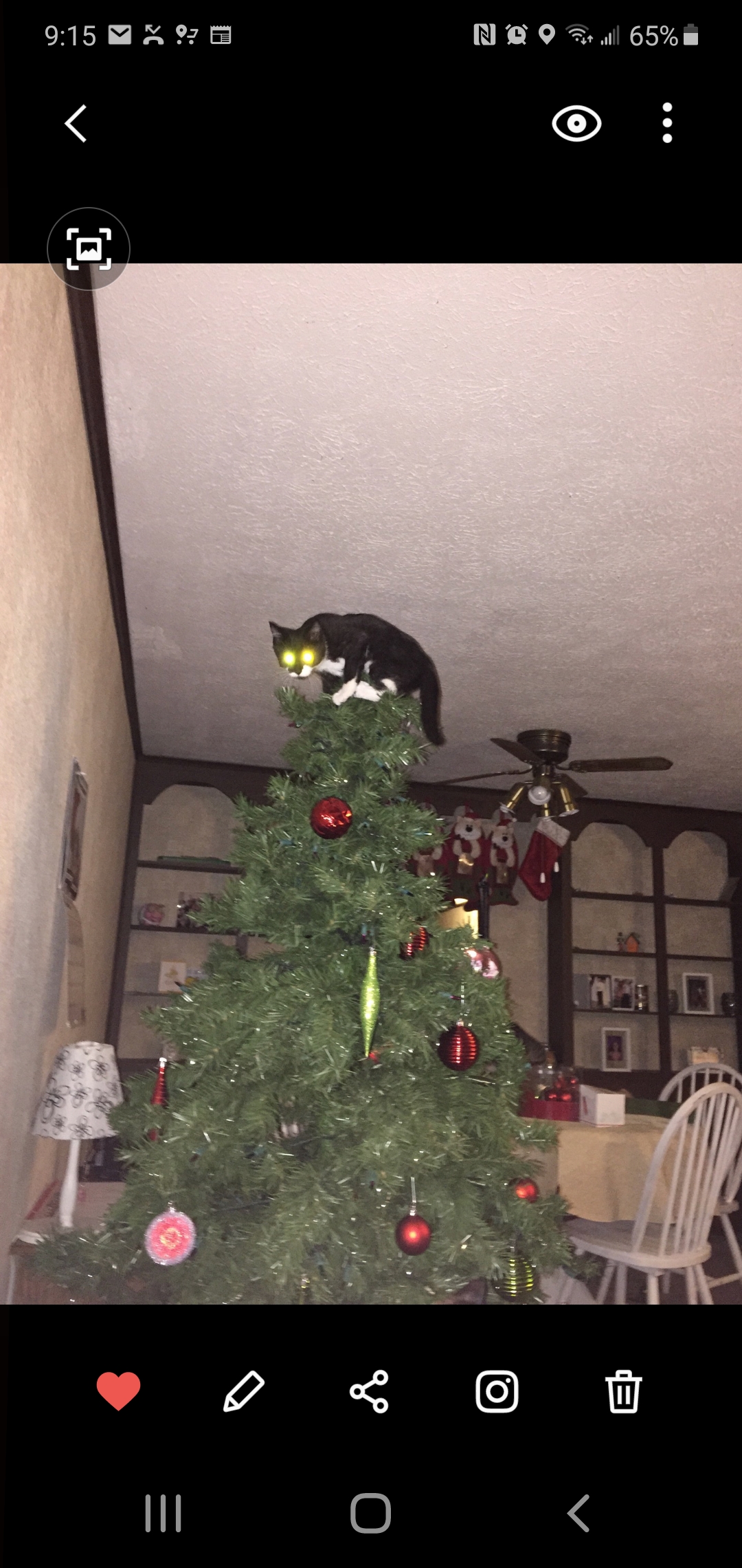 The shining star. | Scrolller