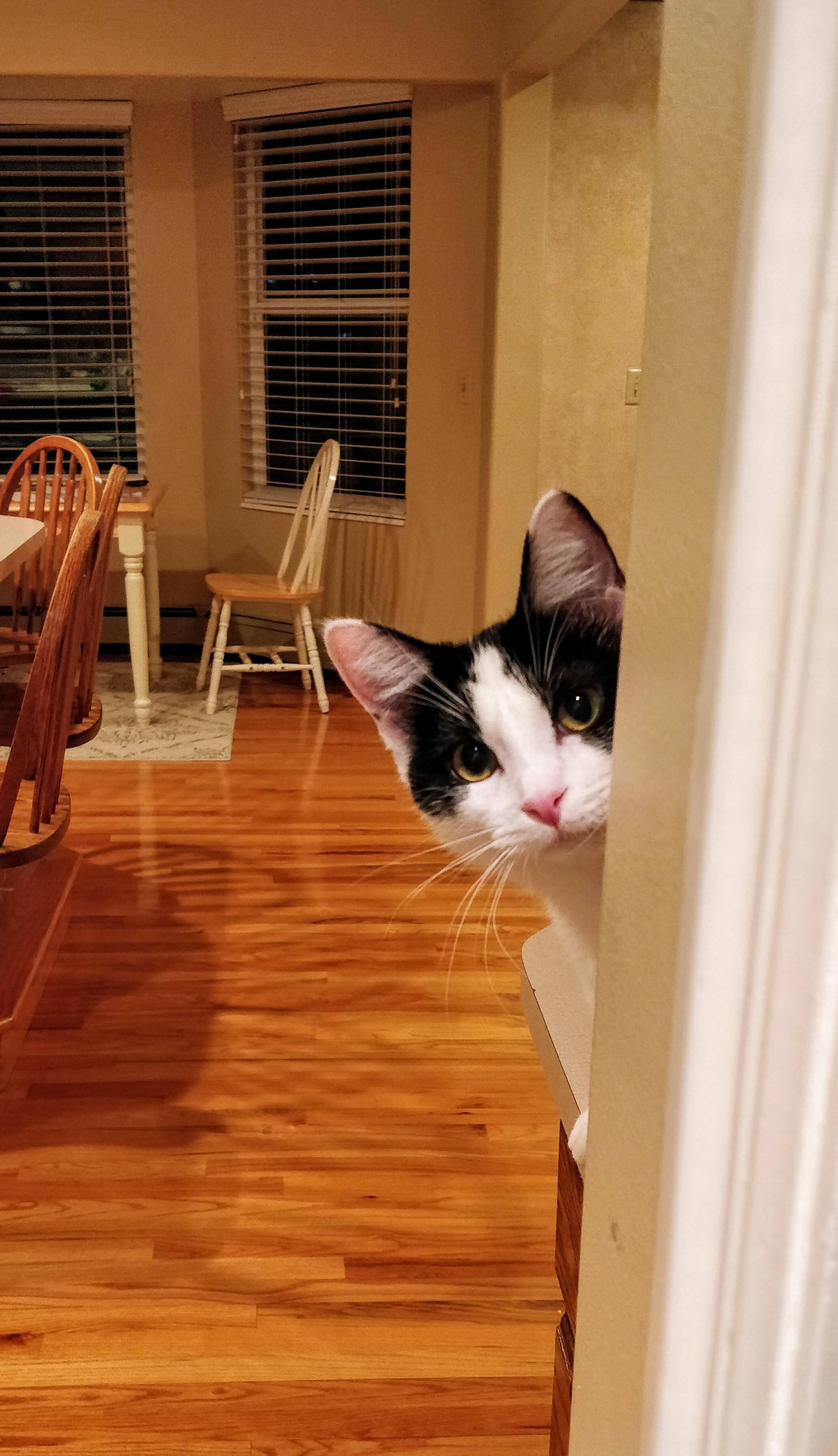 The stalking peanut | Scrolller