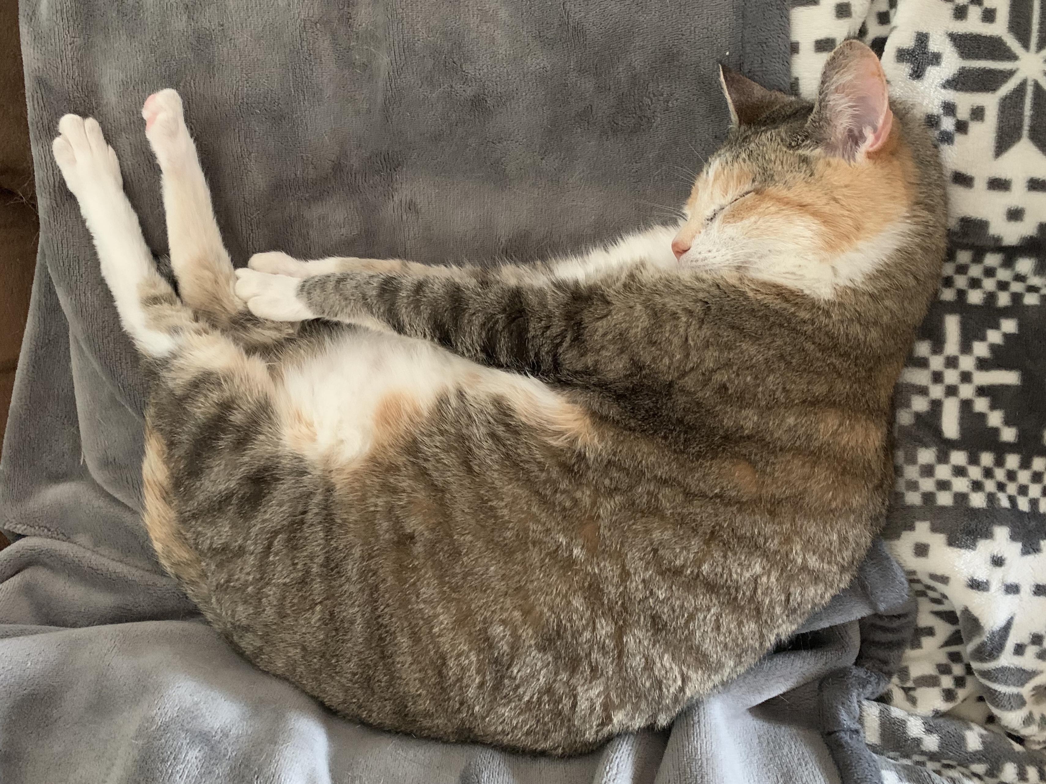 The stretch’n’sleep. | Scrolller