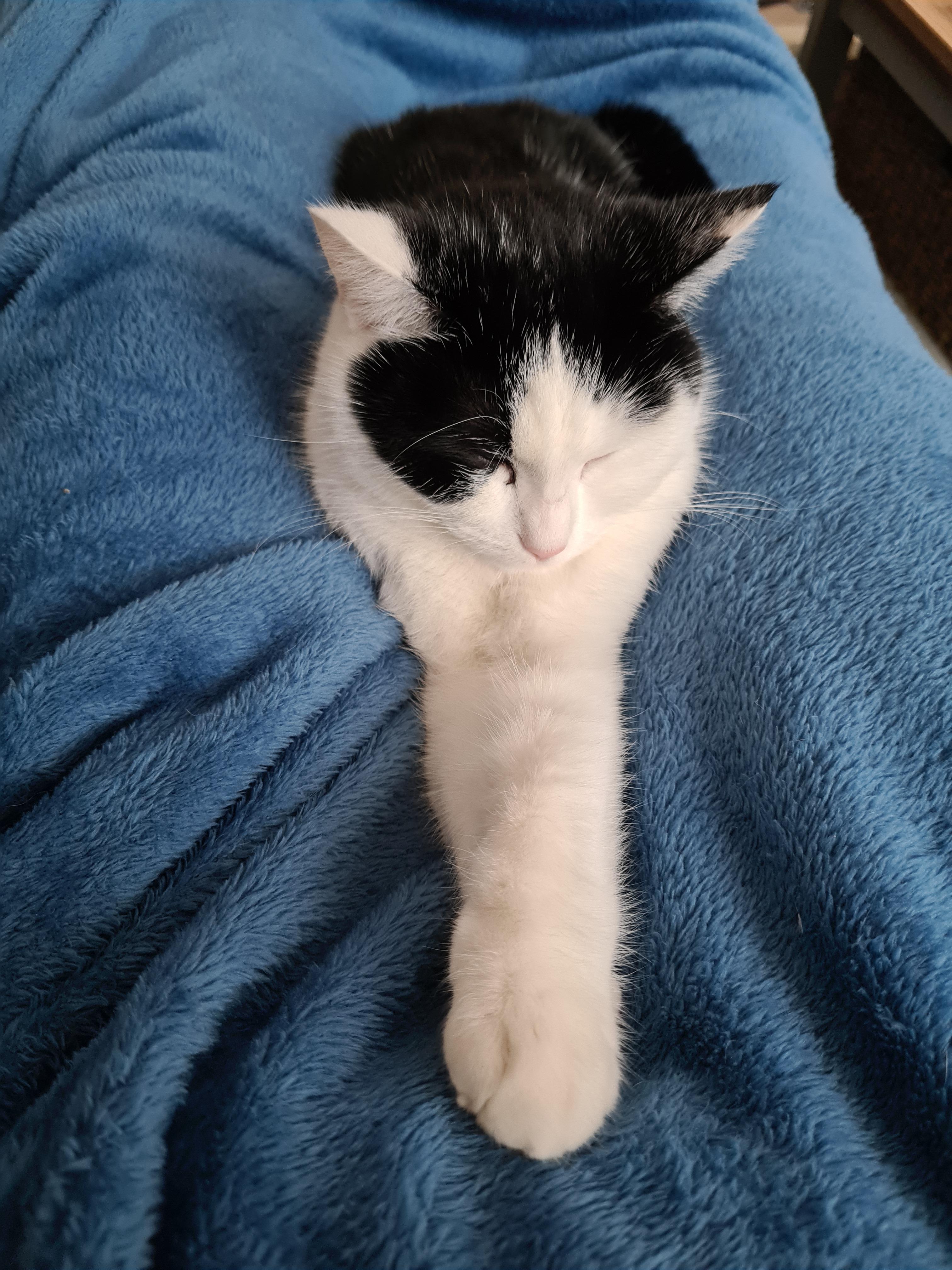 The very lovely Lucy Lu | Scrolller