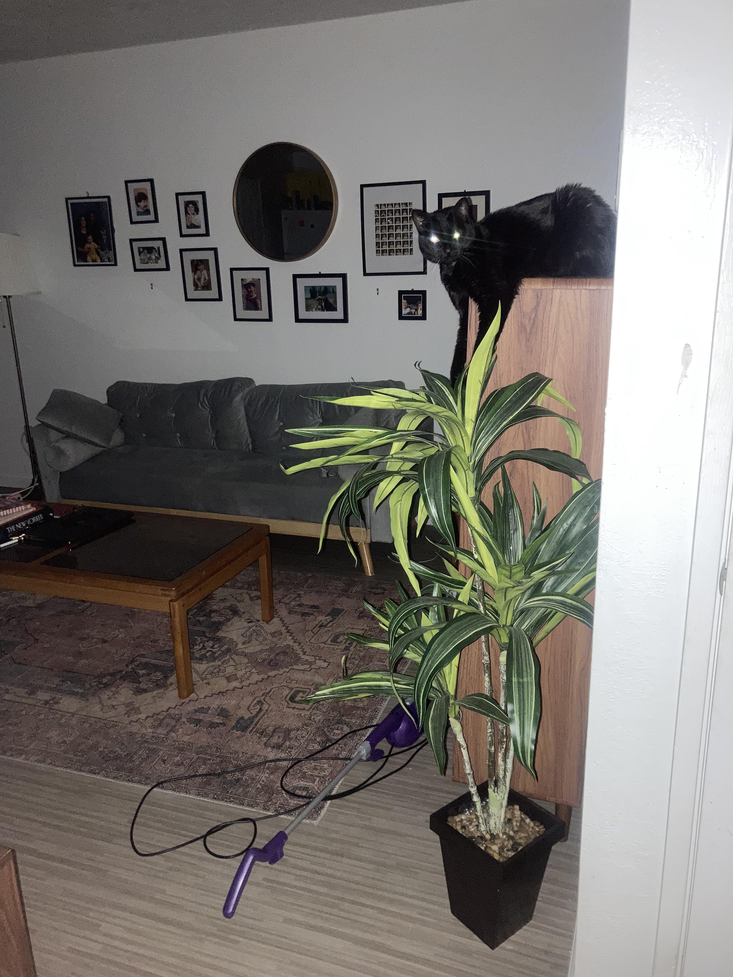 The void looking through me. | Scrolller