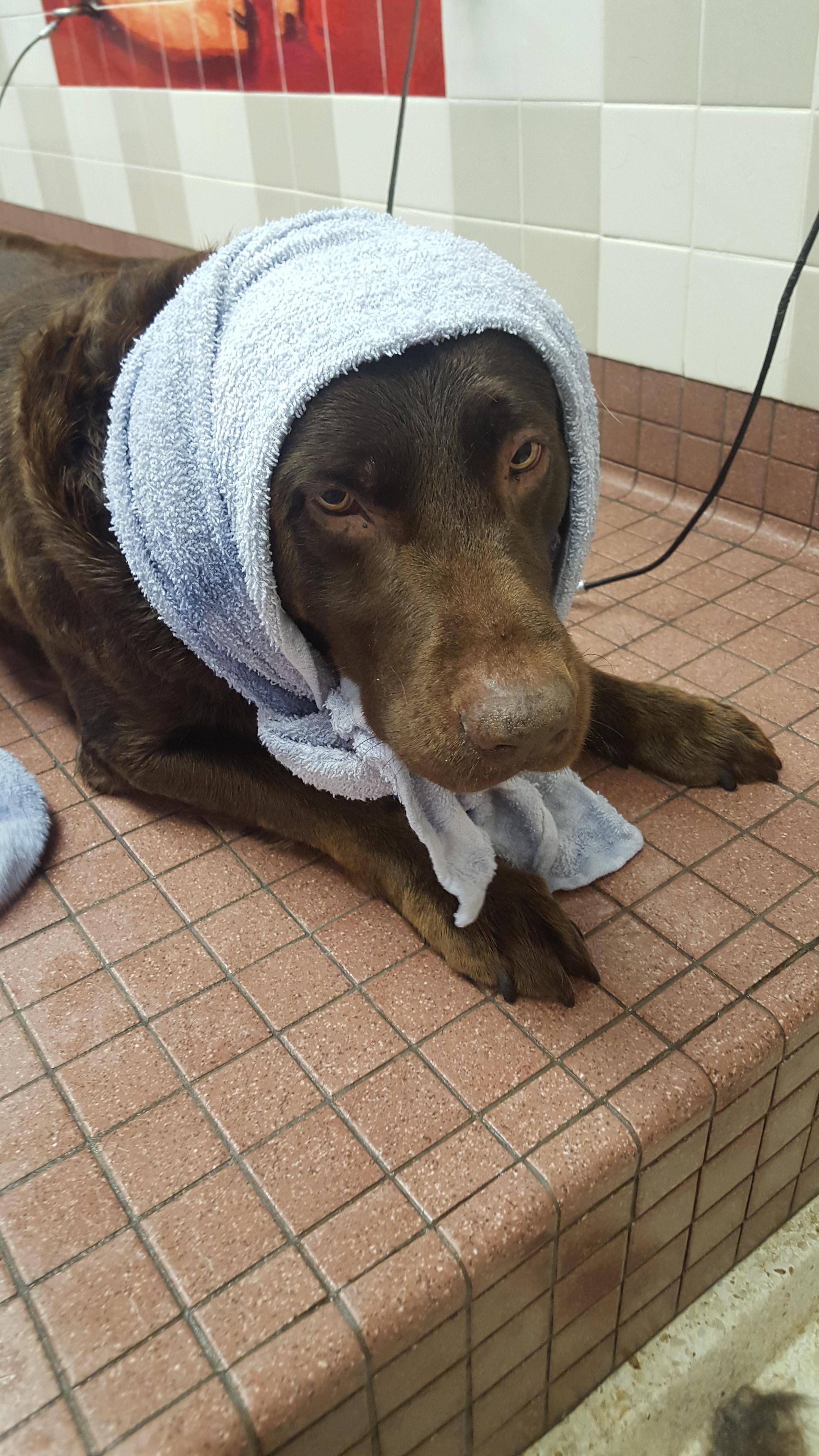 The wind is making these old bones ache | Scrolller