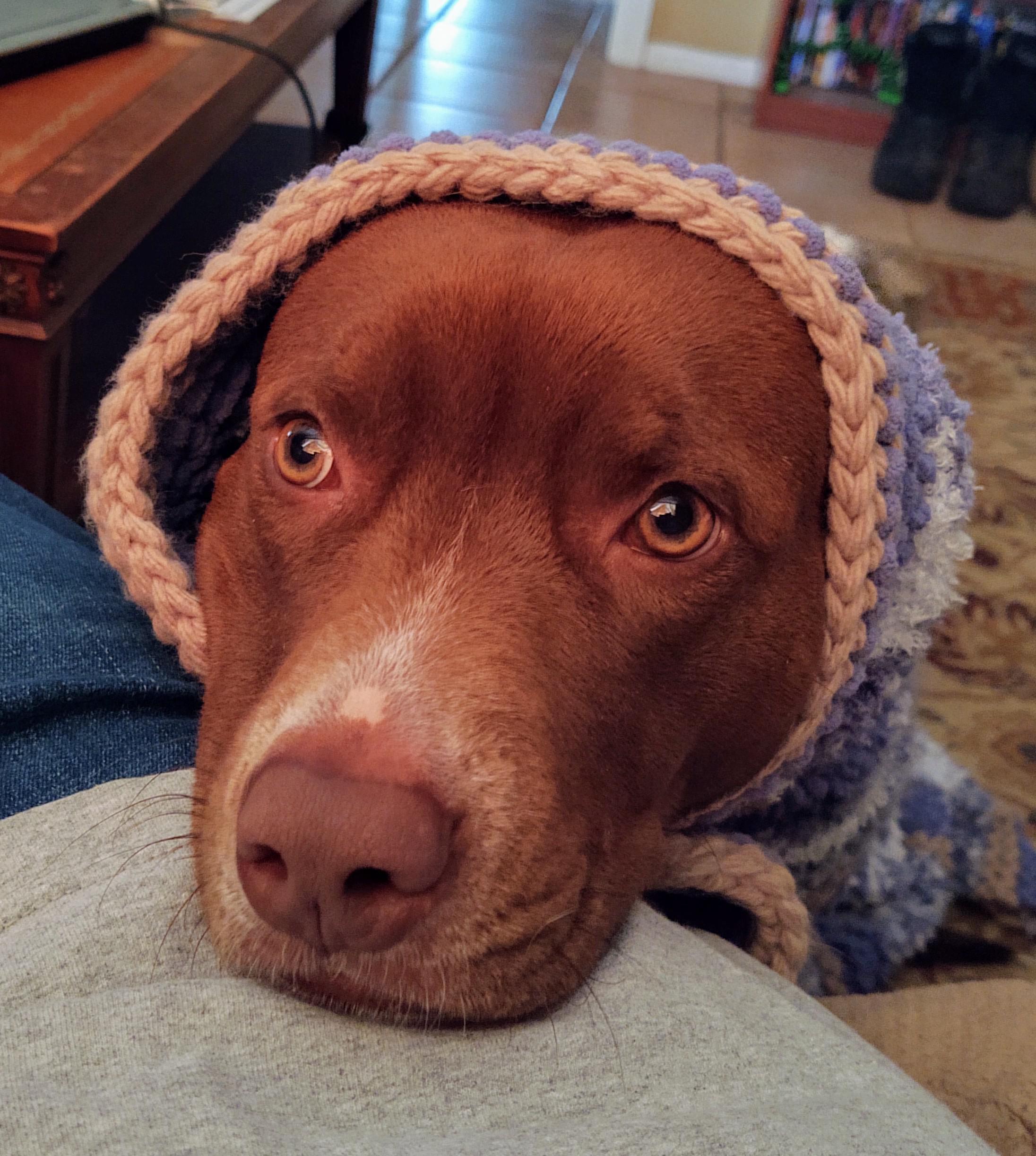 The winter was hard that year, with the men off to war | Scrolller