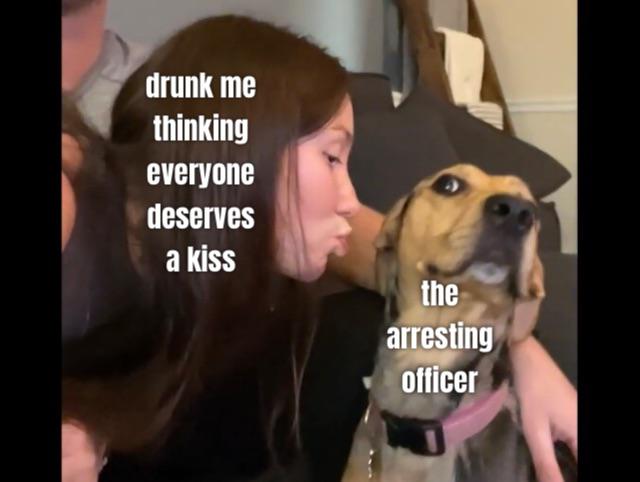 theory v practice | Scrolller