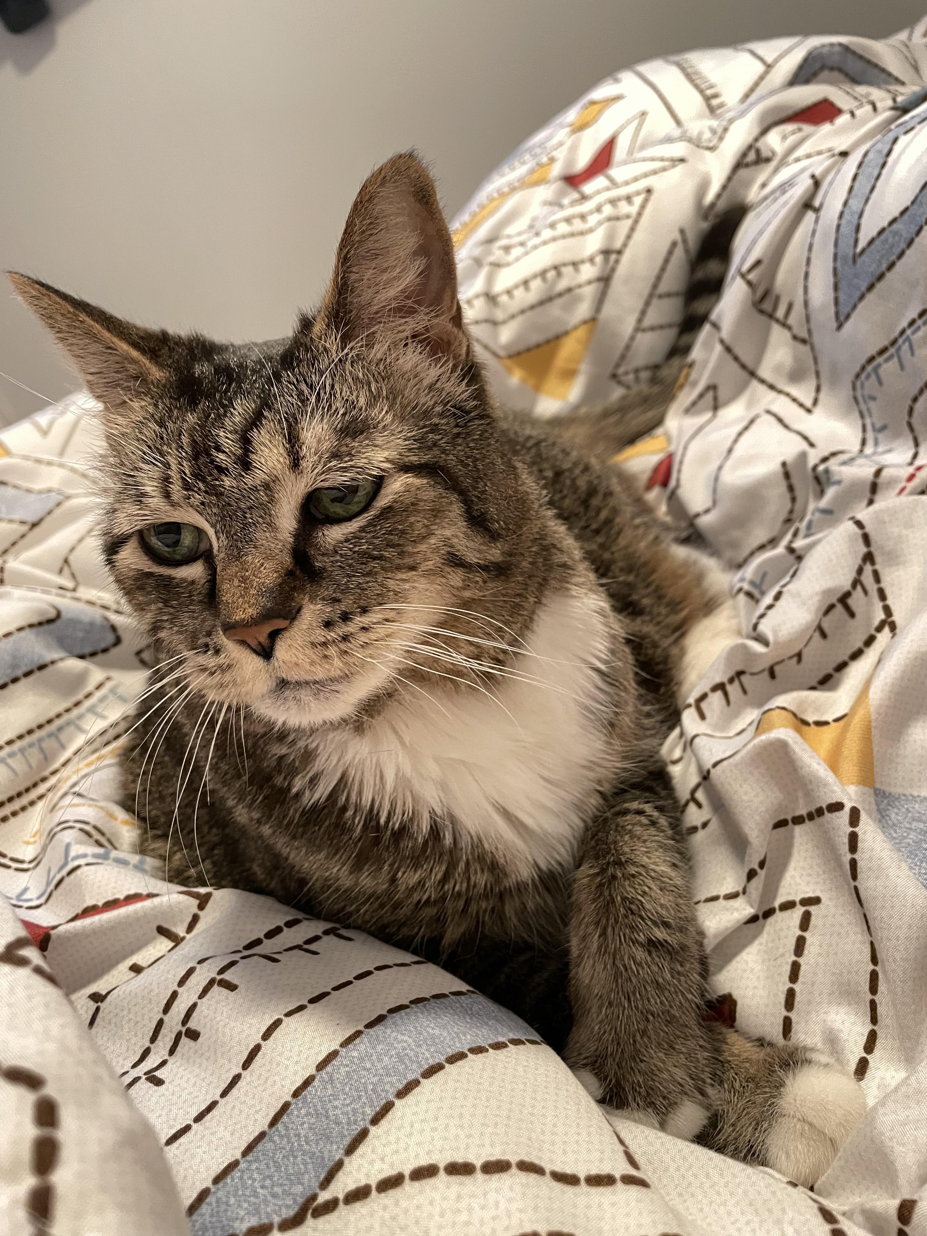 These peanut whiskers are 17 years old | Scrolller