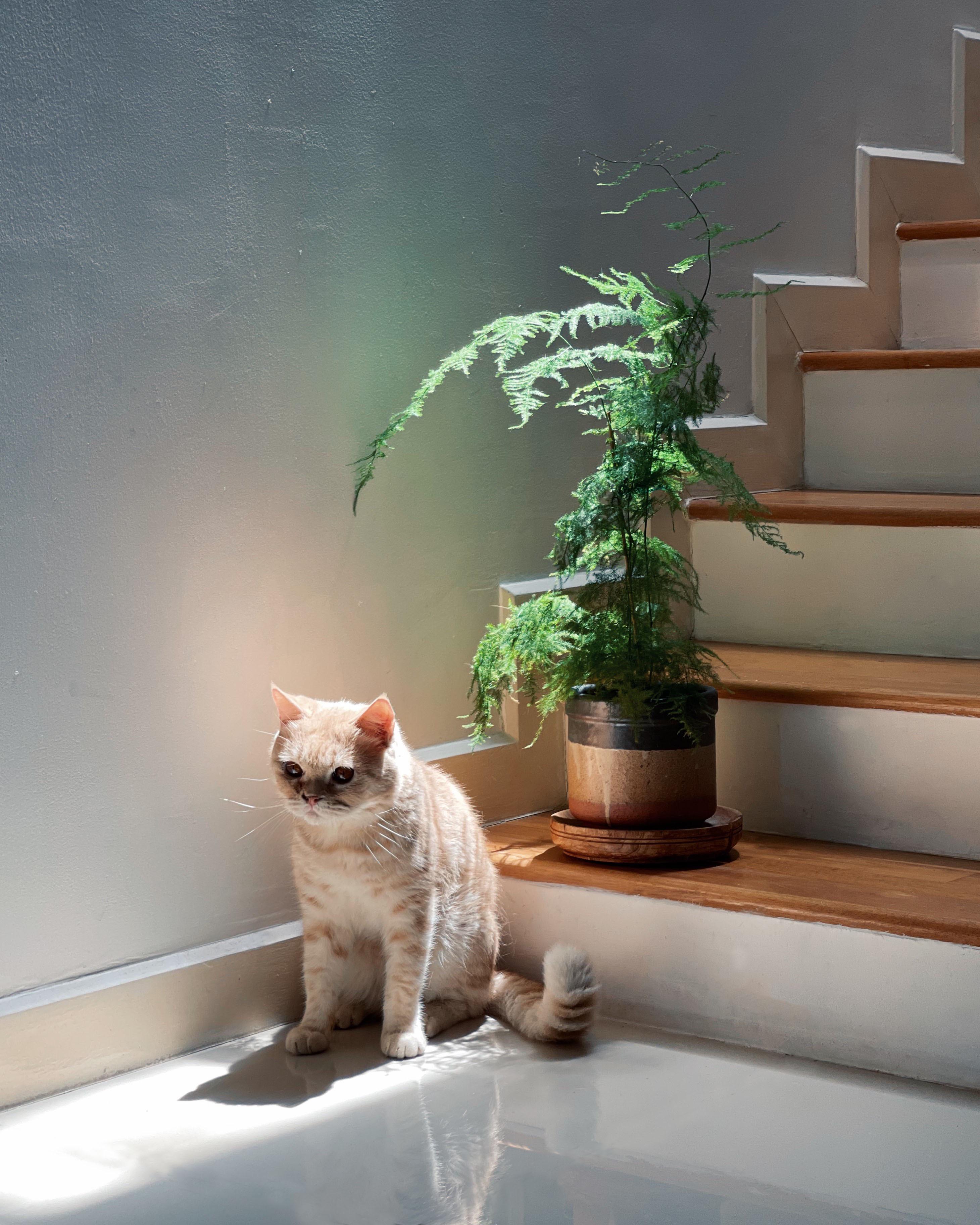 They’re both trying to get some sun 🌞 | Scrolller