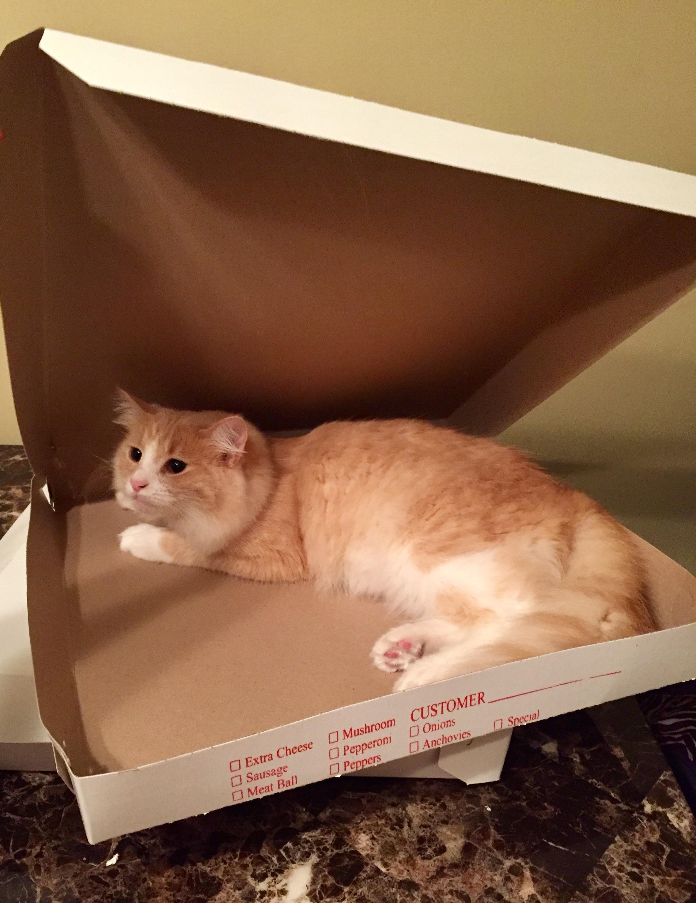 They screwed up our order. | Scrolller