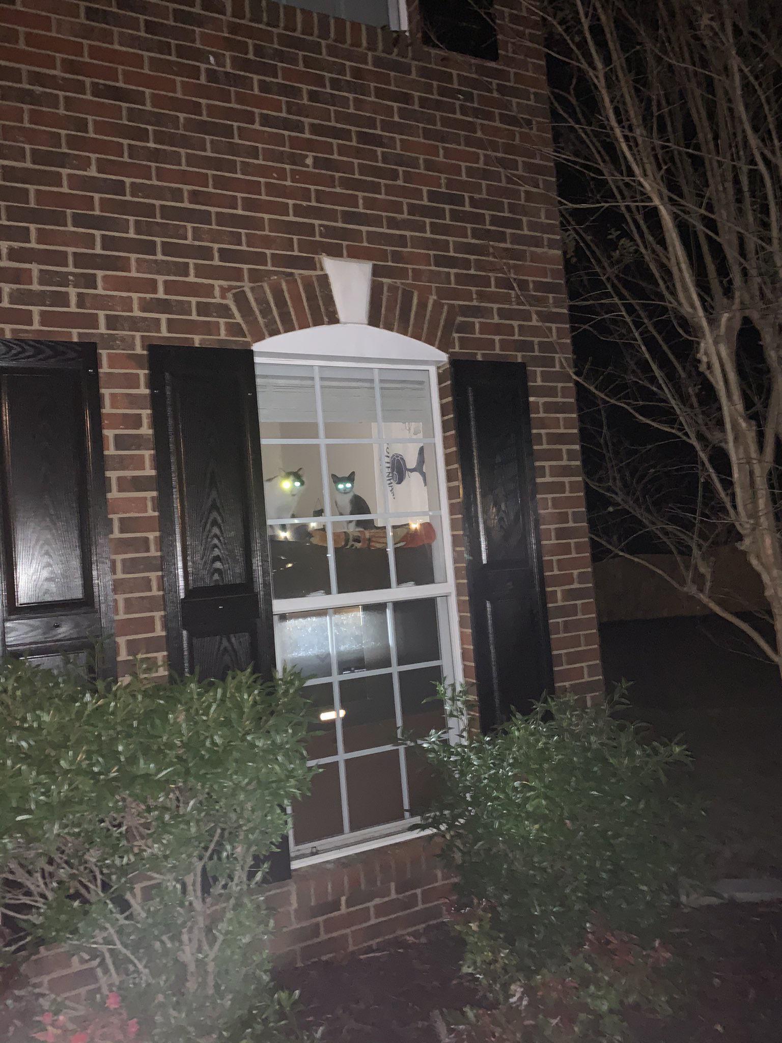 They were looking down upon me | Scrolller