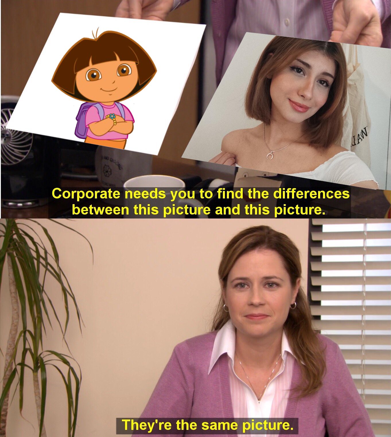 They're the same picture. | Scrolller