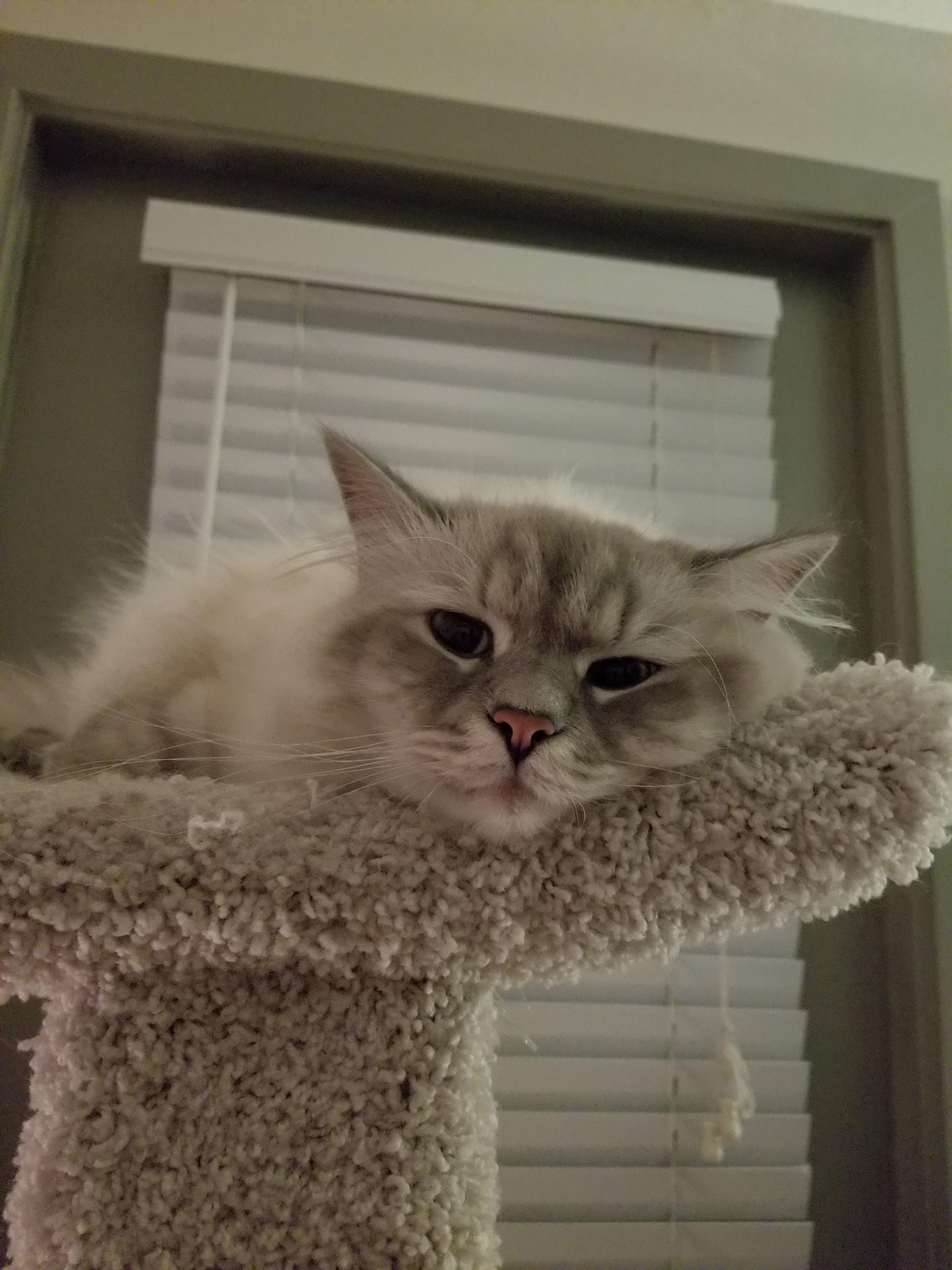 This is vanilla | Scrolller