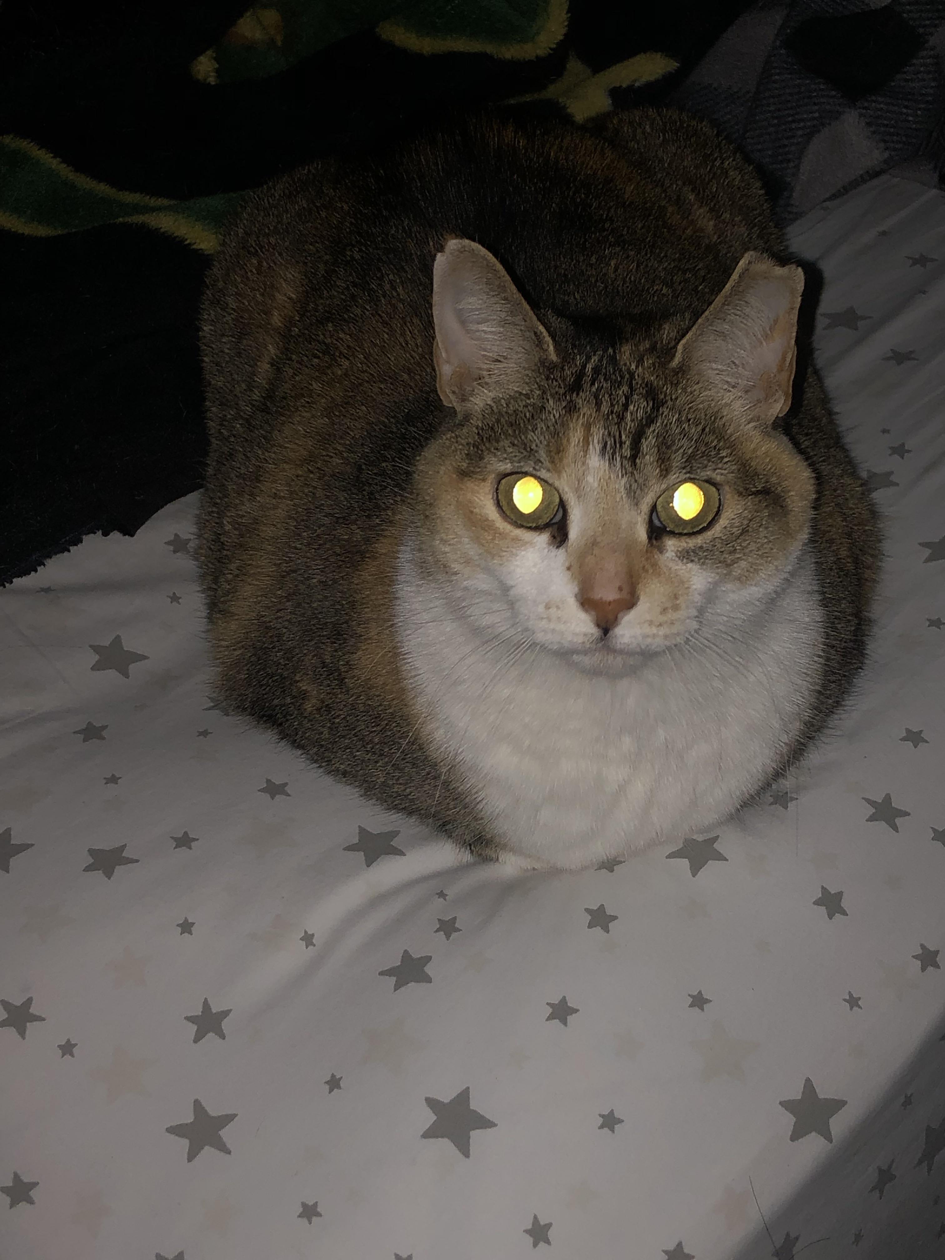 this spaceship is armed with dual laserbeams | Scrolller