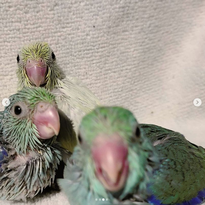 This was the last picture we got before security camera #7 lost connection | Scrolller