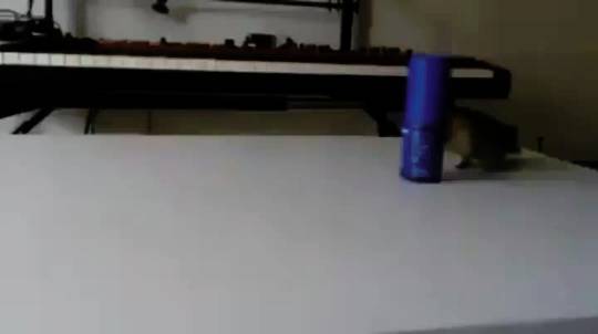 Tiny jerk. | Scrolller