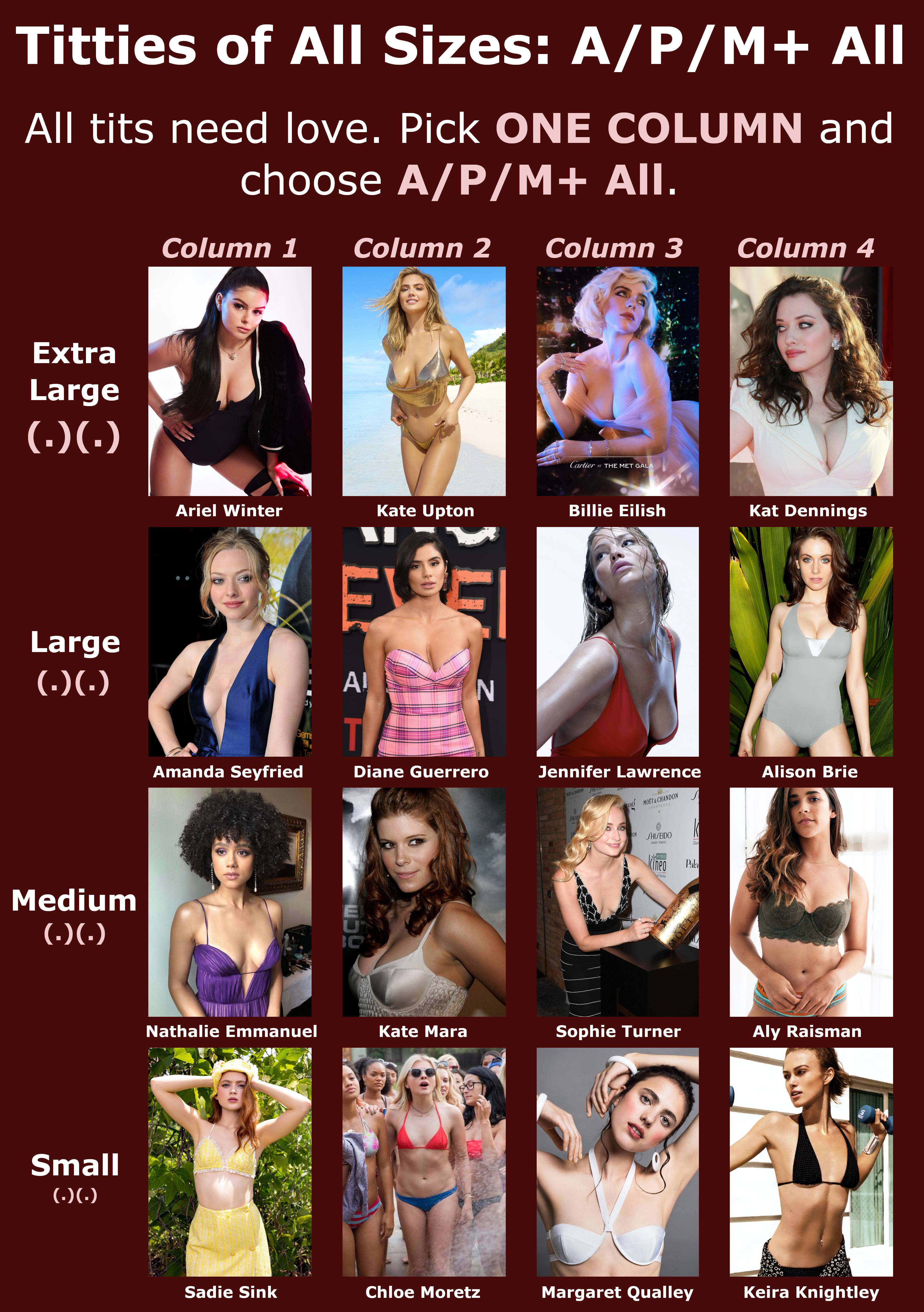 Titties of All Sizes: Pick One COLUMN (A/P/M+ All) | Scrolller