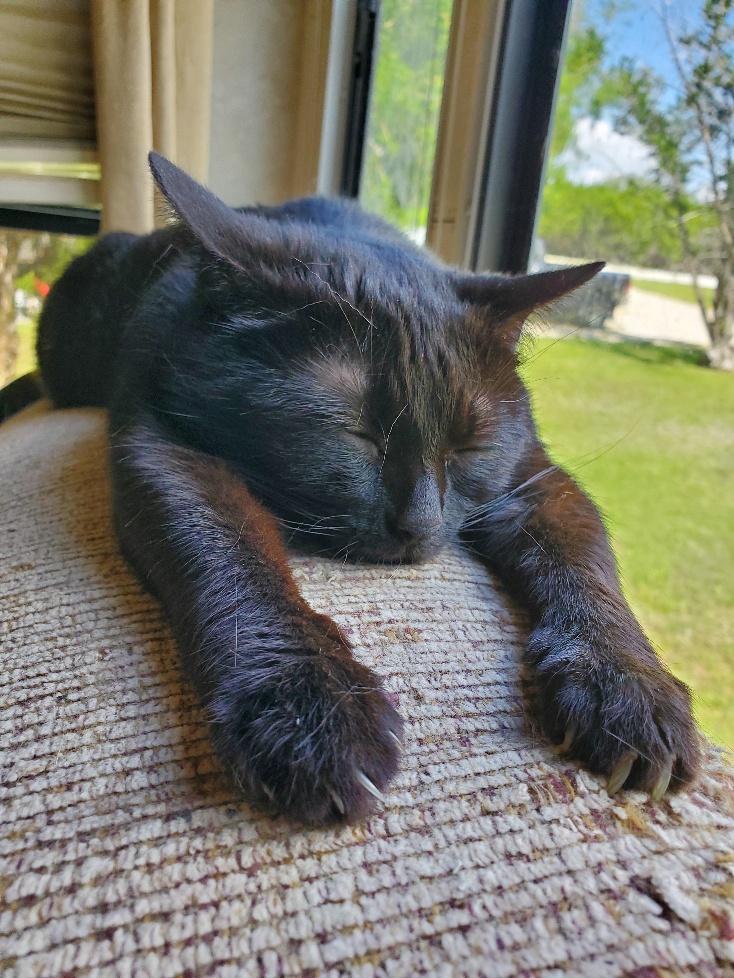 Too much cute. | Scrolller