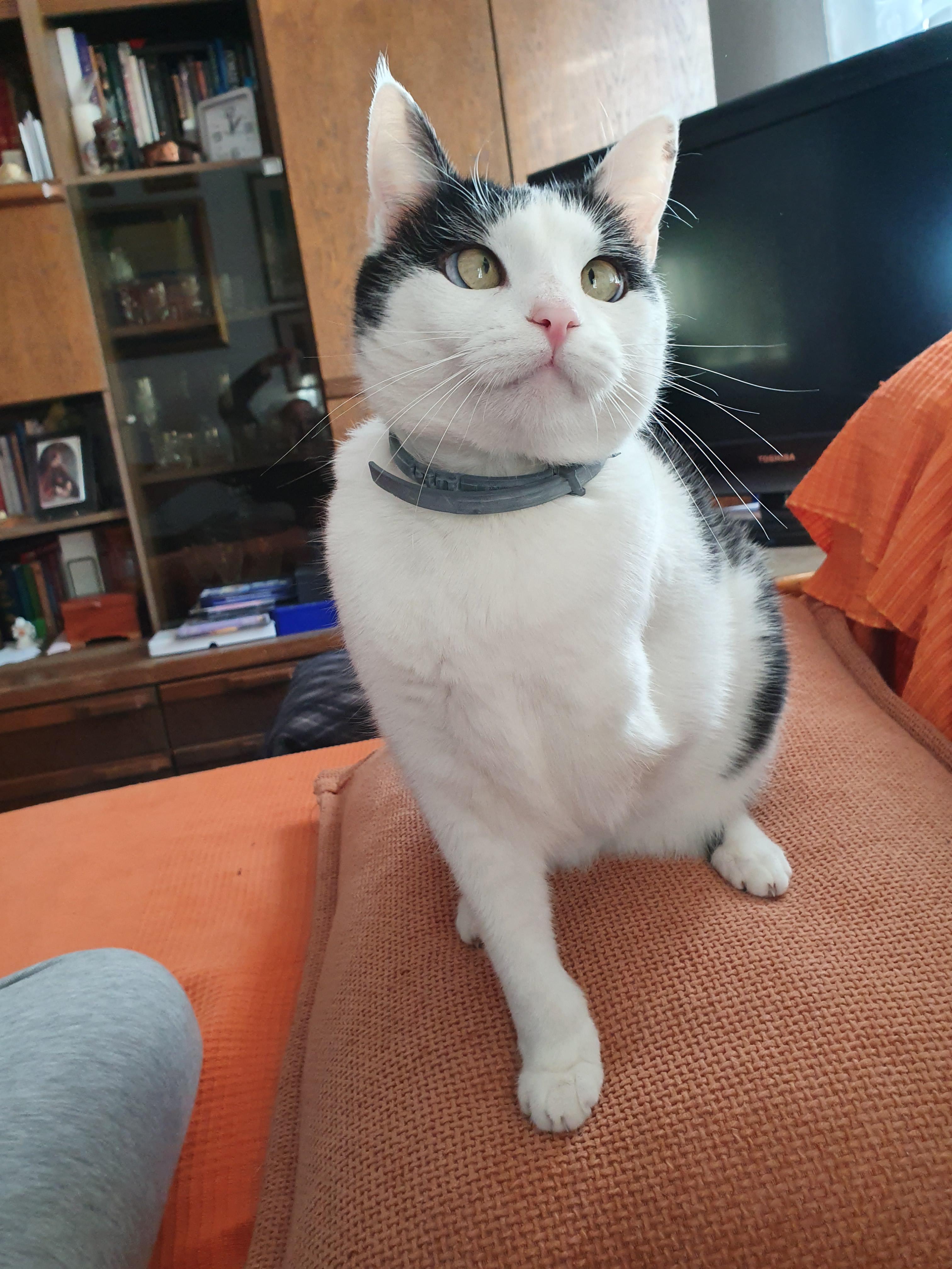 Trinity in attack mode | Scrolller