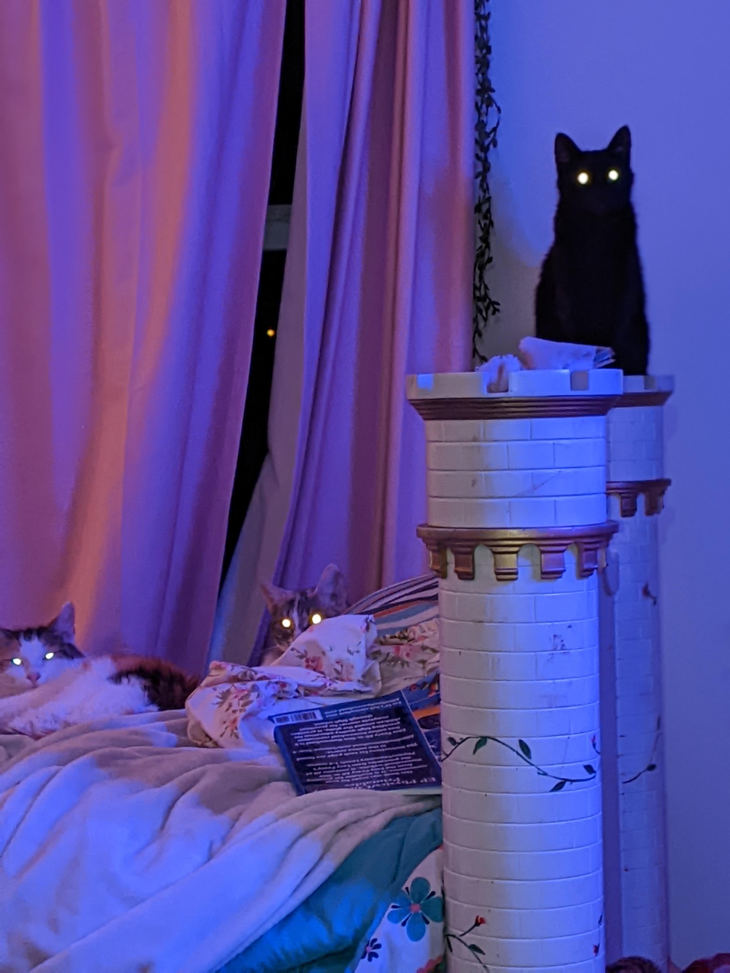 Triple laser beam activated! | Scrolller