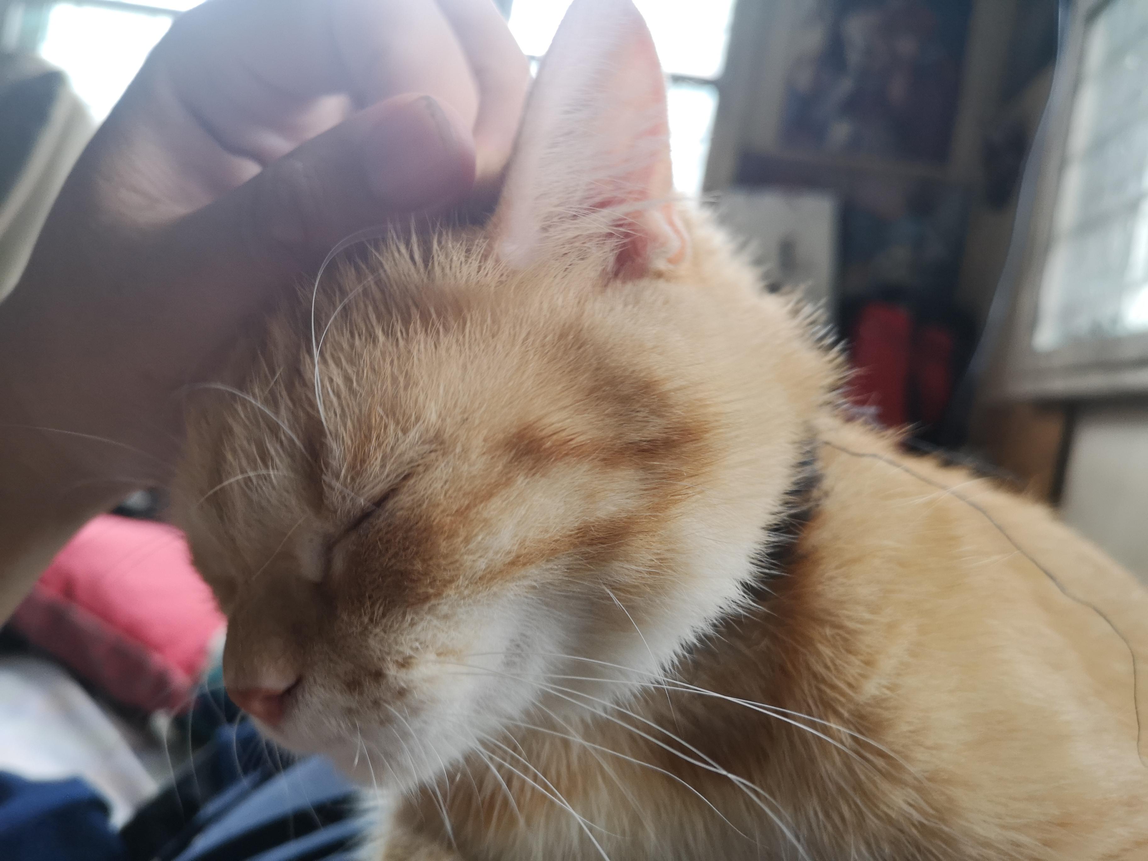 Trying to restart the brain cell | Scrolller