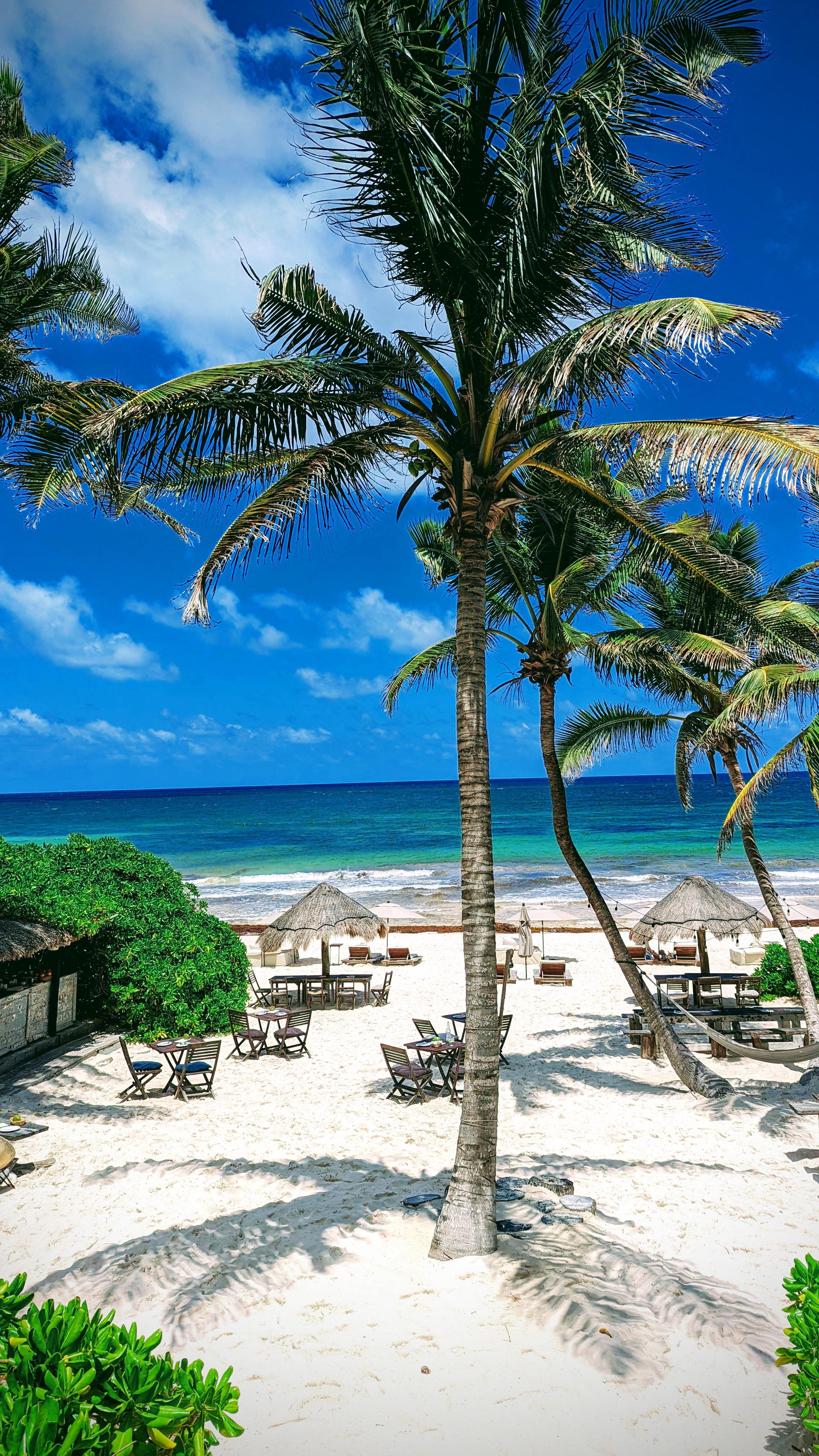 Tulum, Mexico [OC, 12.2MP] | Scrolller