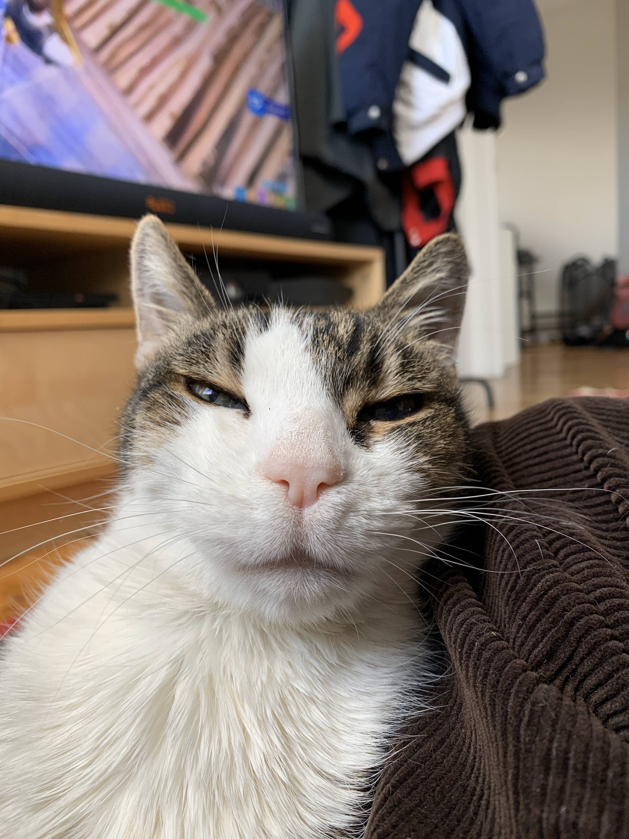 turning 18 in april | Scrolller