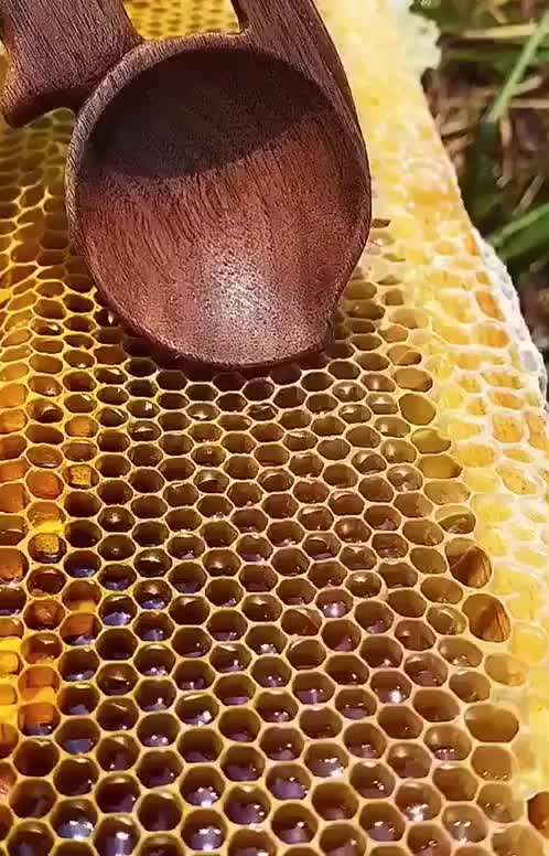 (TW: TRYPOPHOBIA) This is what it feels like when I try to squeeze all the sebum out of the tip ...