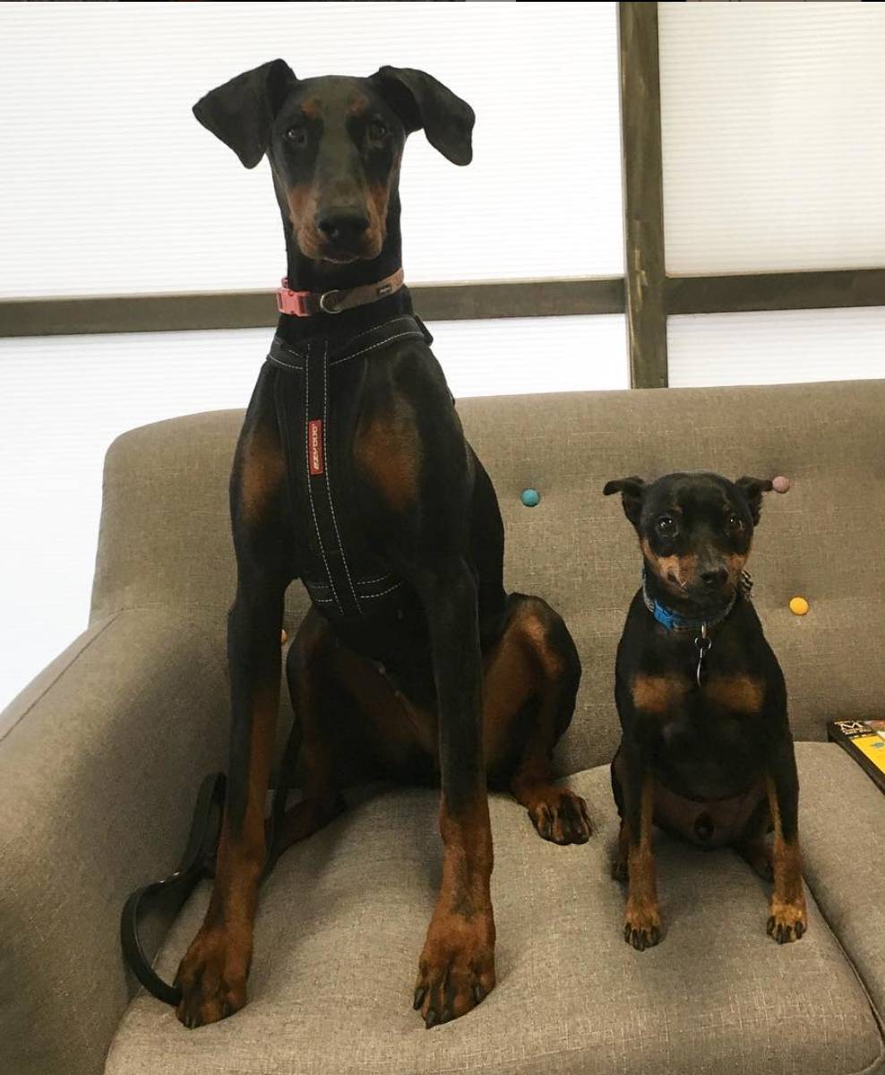 Twinning with her Mini Me | Scrolller