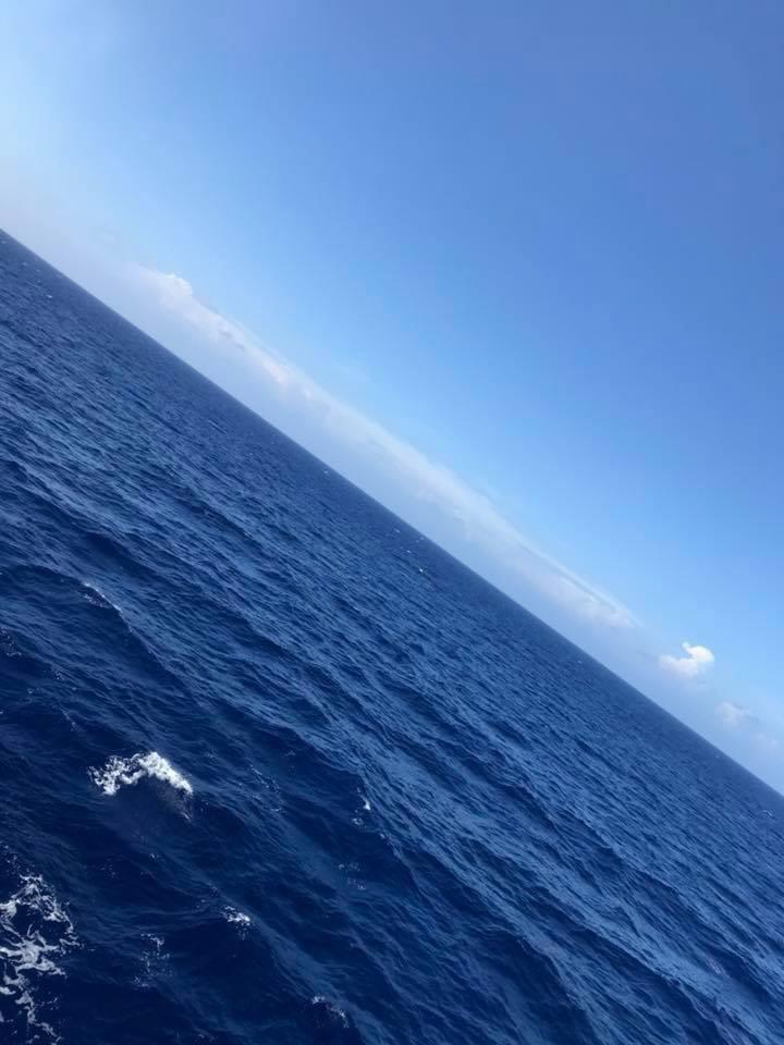 Twisted Gulf | Scrolller